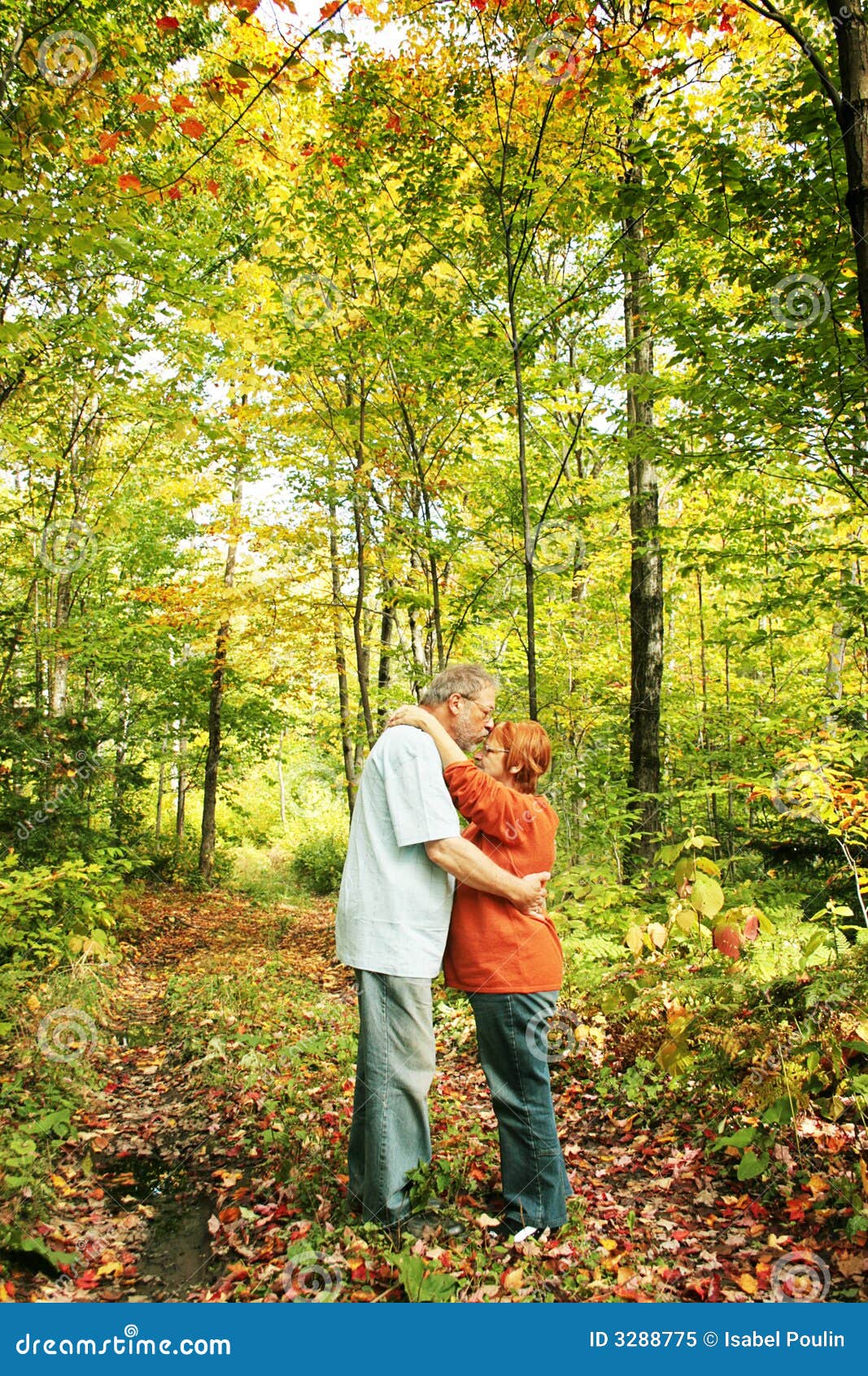 Lovers in autumn stock image. Image of good, autumn, handsome - 3288775