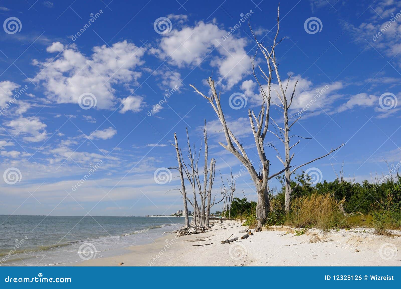 Lovers Key Beach stock photo. Image of gulf, paradise - 12328126