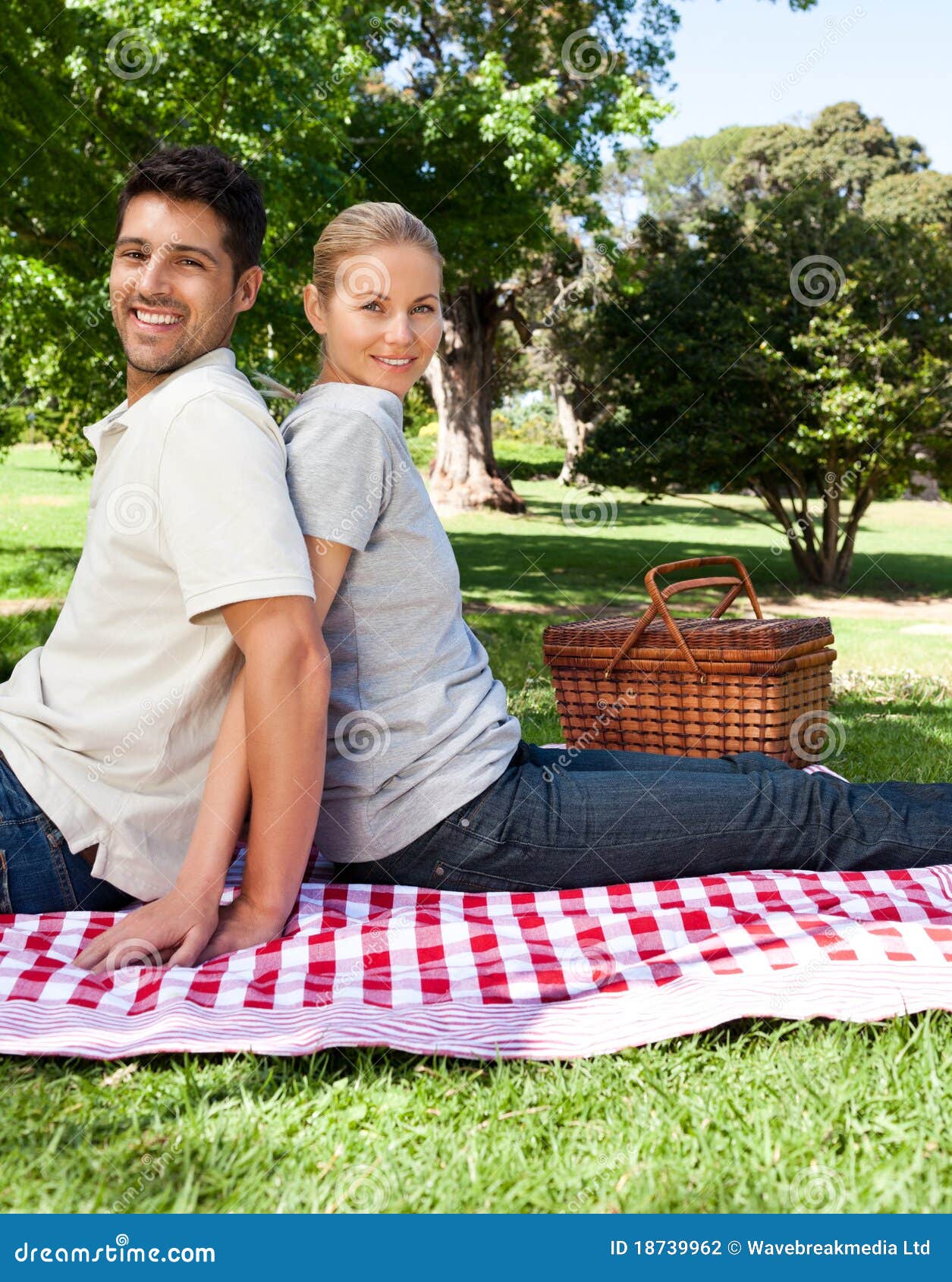 Lovers picnicking stock photo. Image of portrait, marriage - 18739962
