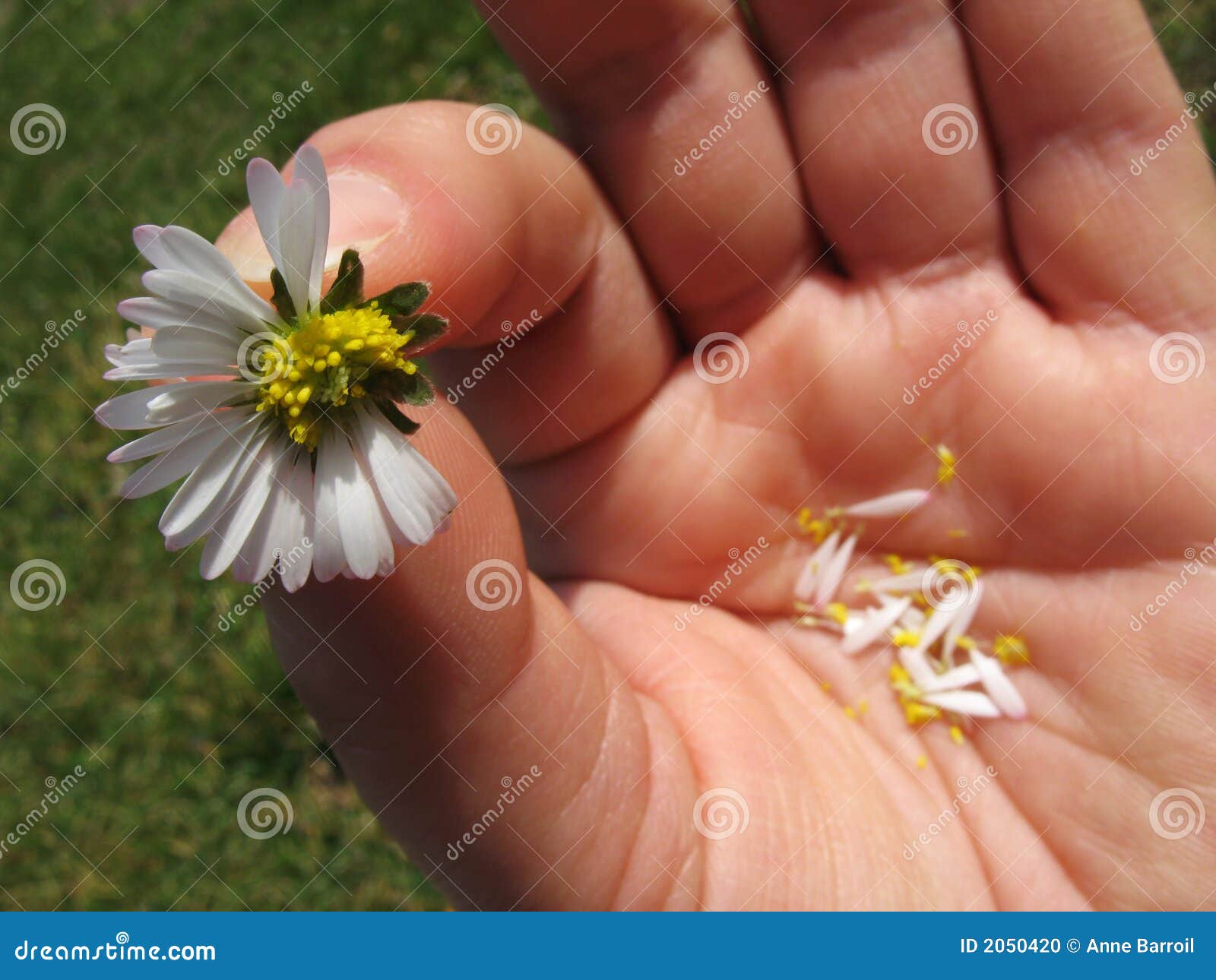 Pull Me Up Stock Photos - Free & Royalty-Free Stock Photos from Dreamstime