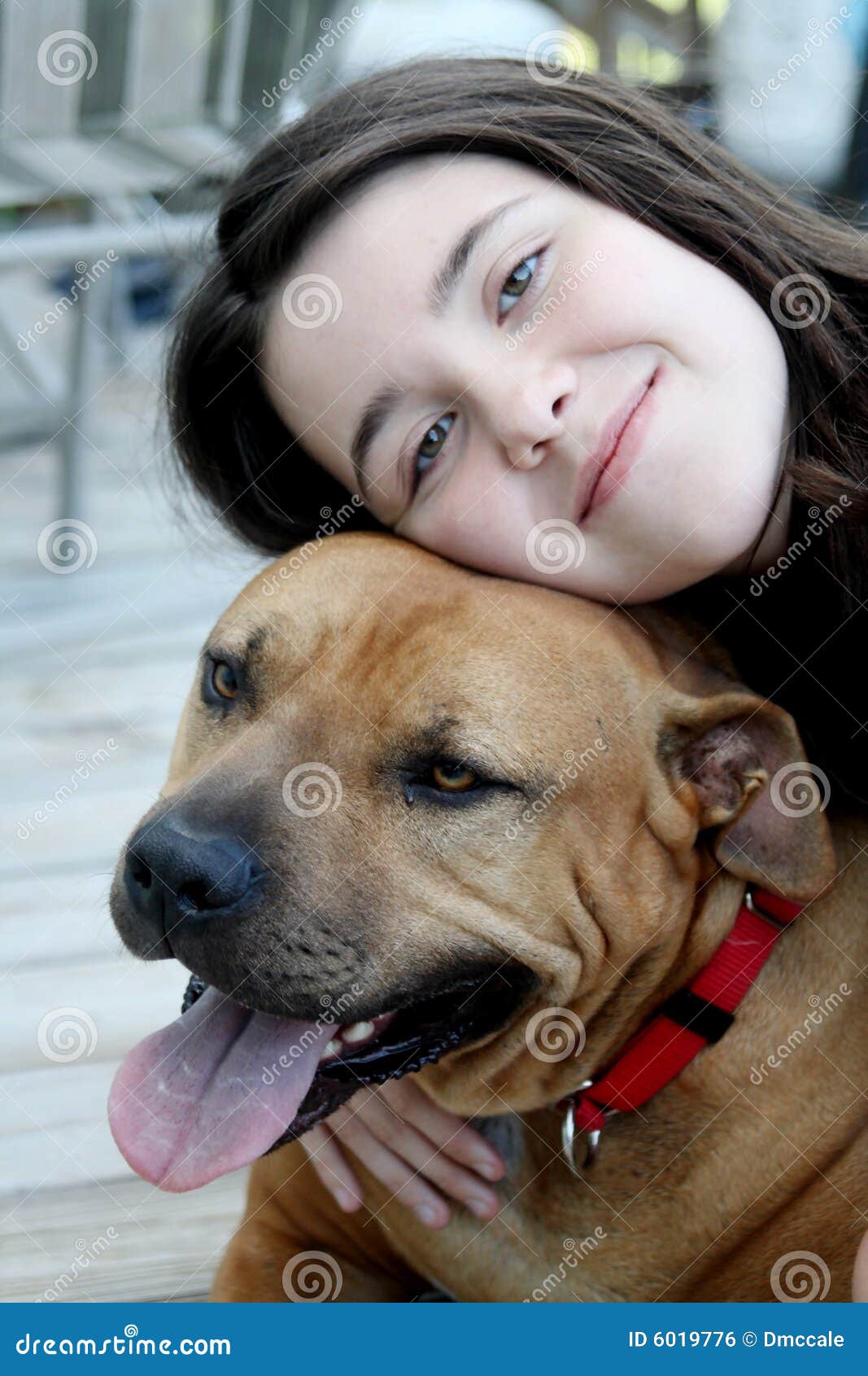 Loving her dog stock photo. Image of life, nose, cute - 6019776