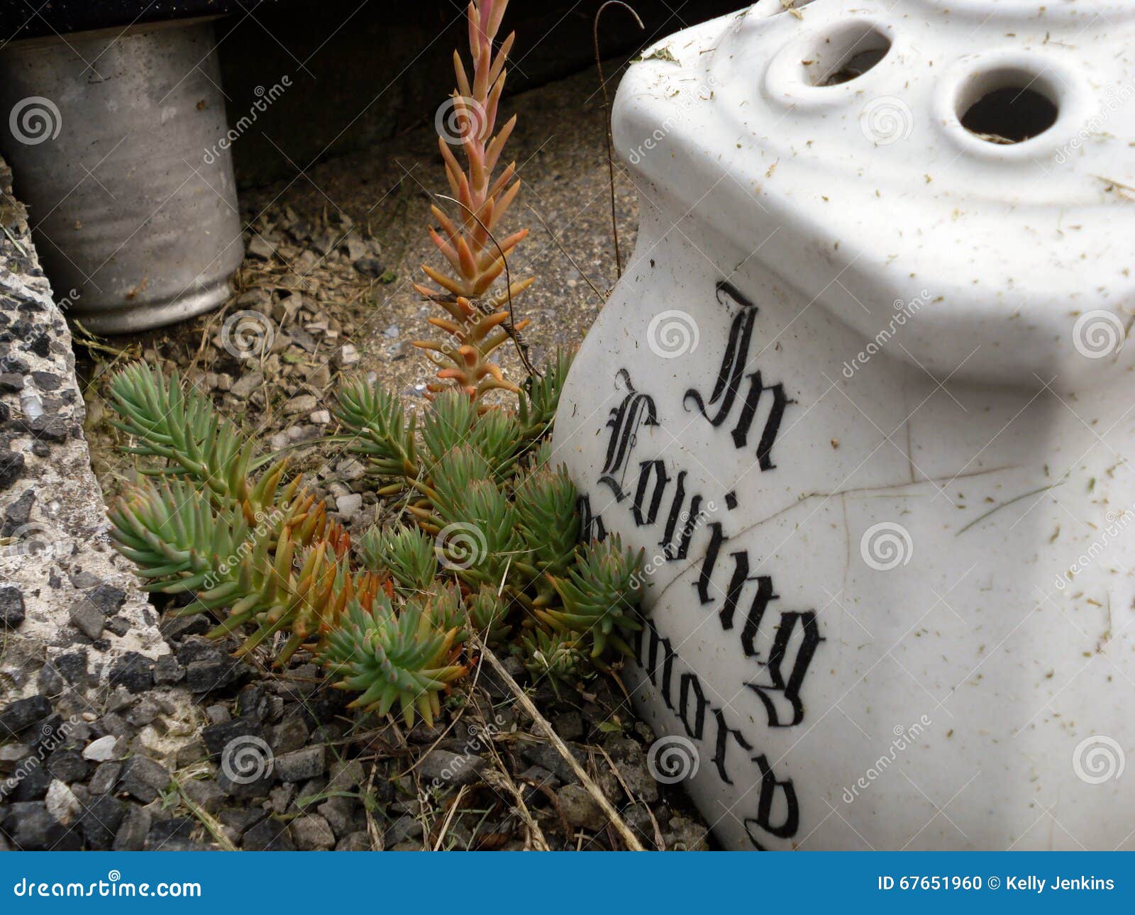 In Loving Memory stock photo. Image of inscription, macro - 67651960