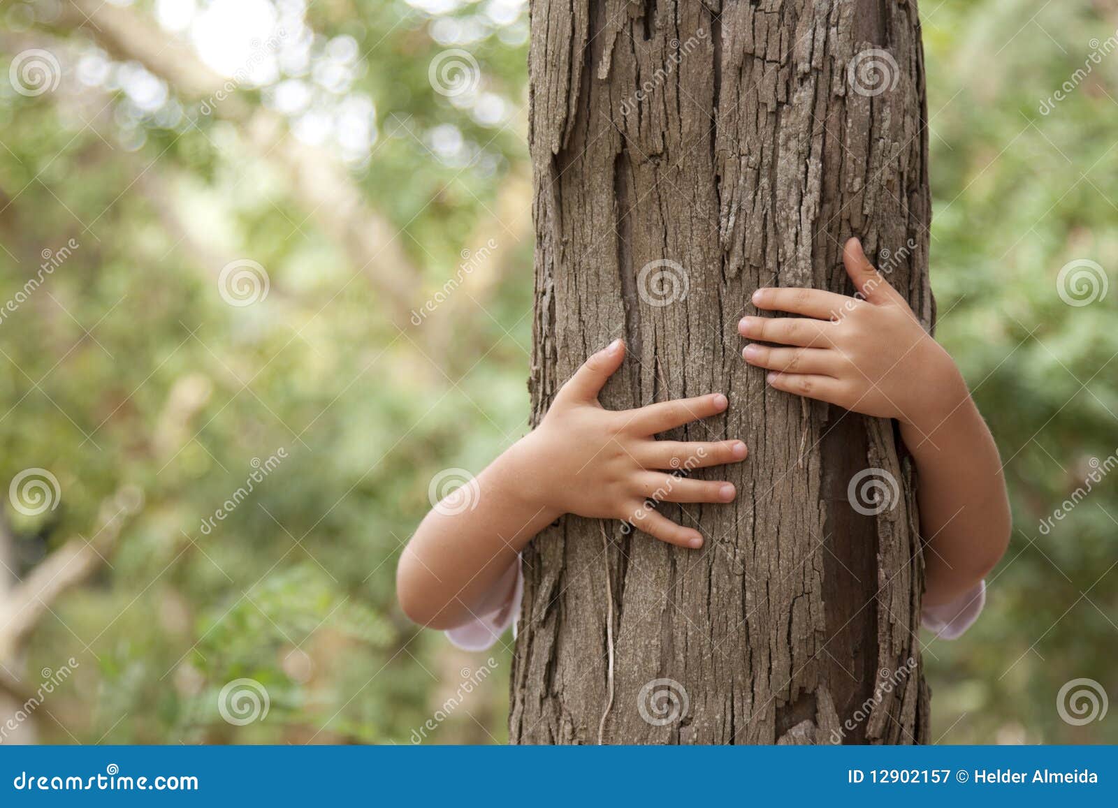 Loving nature stock image. Image of love, environment - 12902157