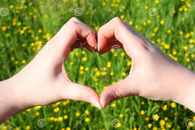 Loving nature stock photo. Image of ecology, green, ecological - 9585242