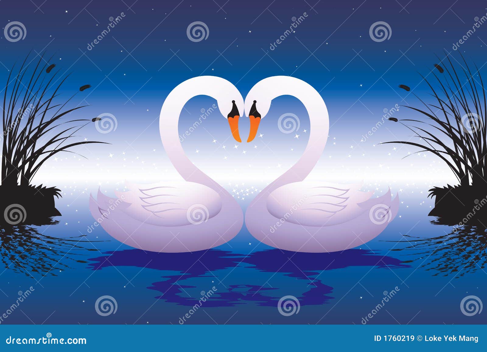 Loving Swans stock illustration. Illustration of shadow - 1760219