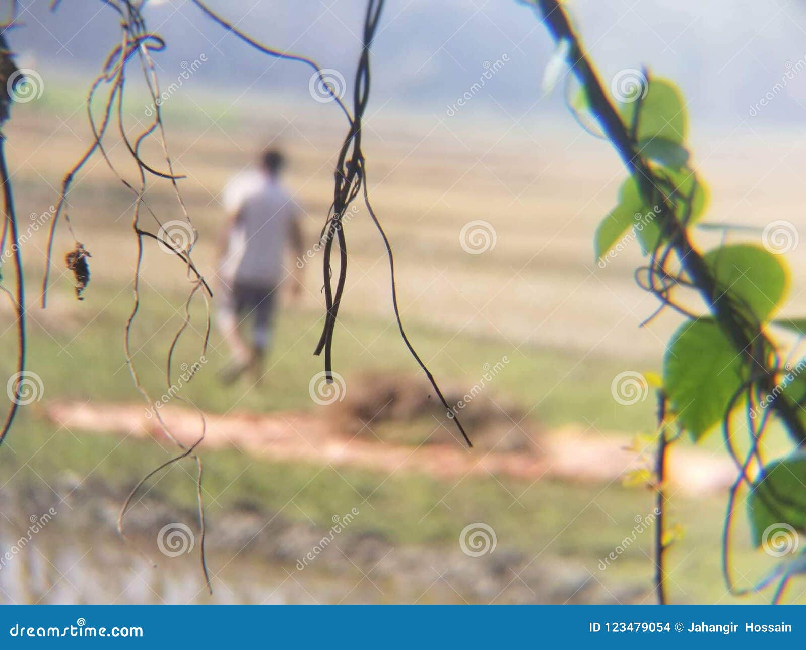 Lovley Nature with a Lovley Camera and a Lovley Wind and the Gound ...