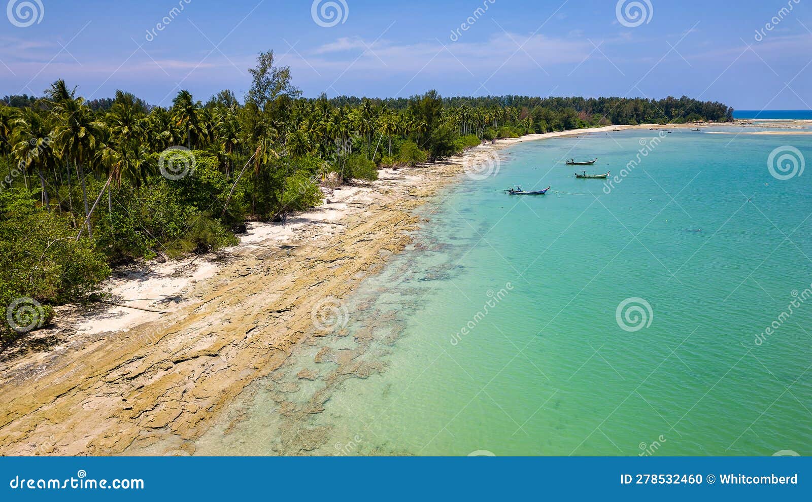 Low Aerial View of a Tropical Beach Surrounded by Palm Trees Stock ...