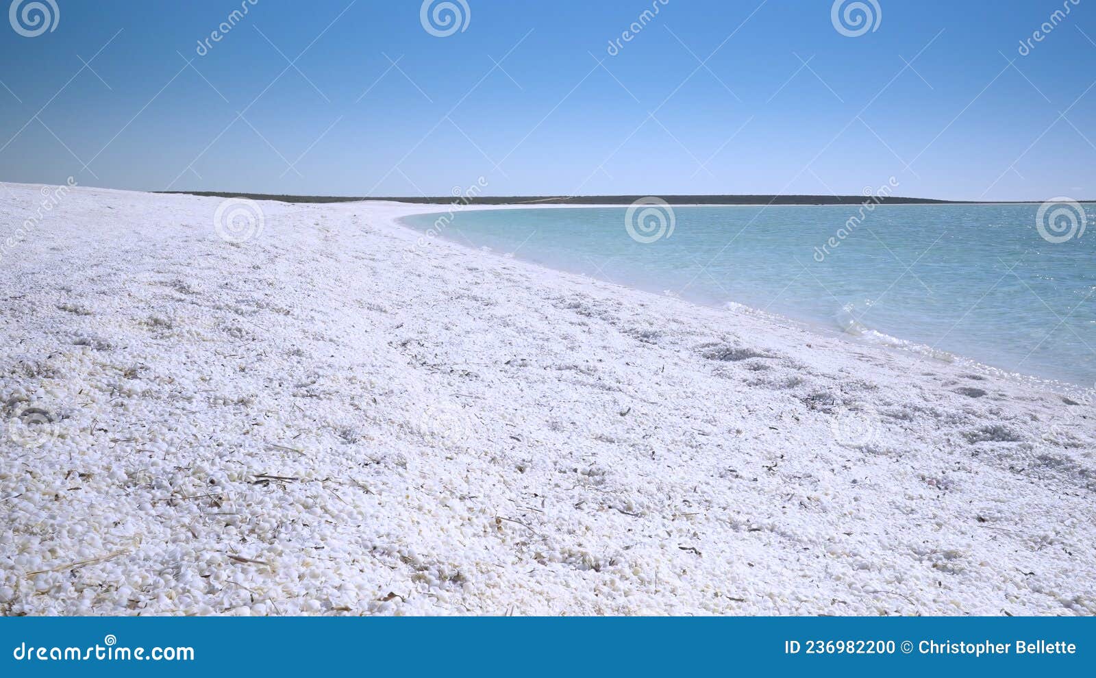 Low Angle Clip of Shell Beach at Shark Bay Stock Photo - Image of ...