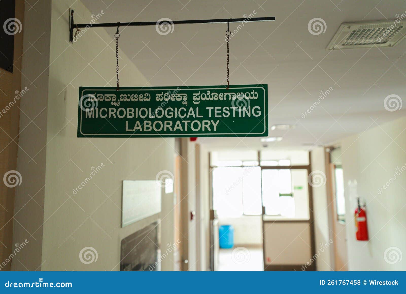Low-angle Closeup of Microbiological Testing Laboratory Green Board and ...