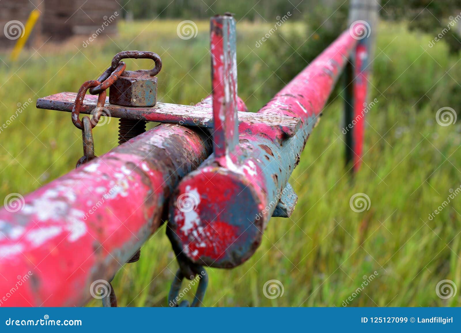 Rusted Metal Gate stock image. Image of background, closed - 125127099
