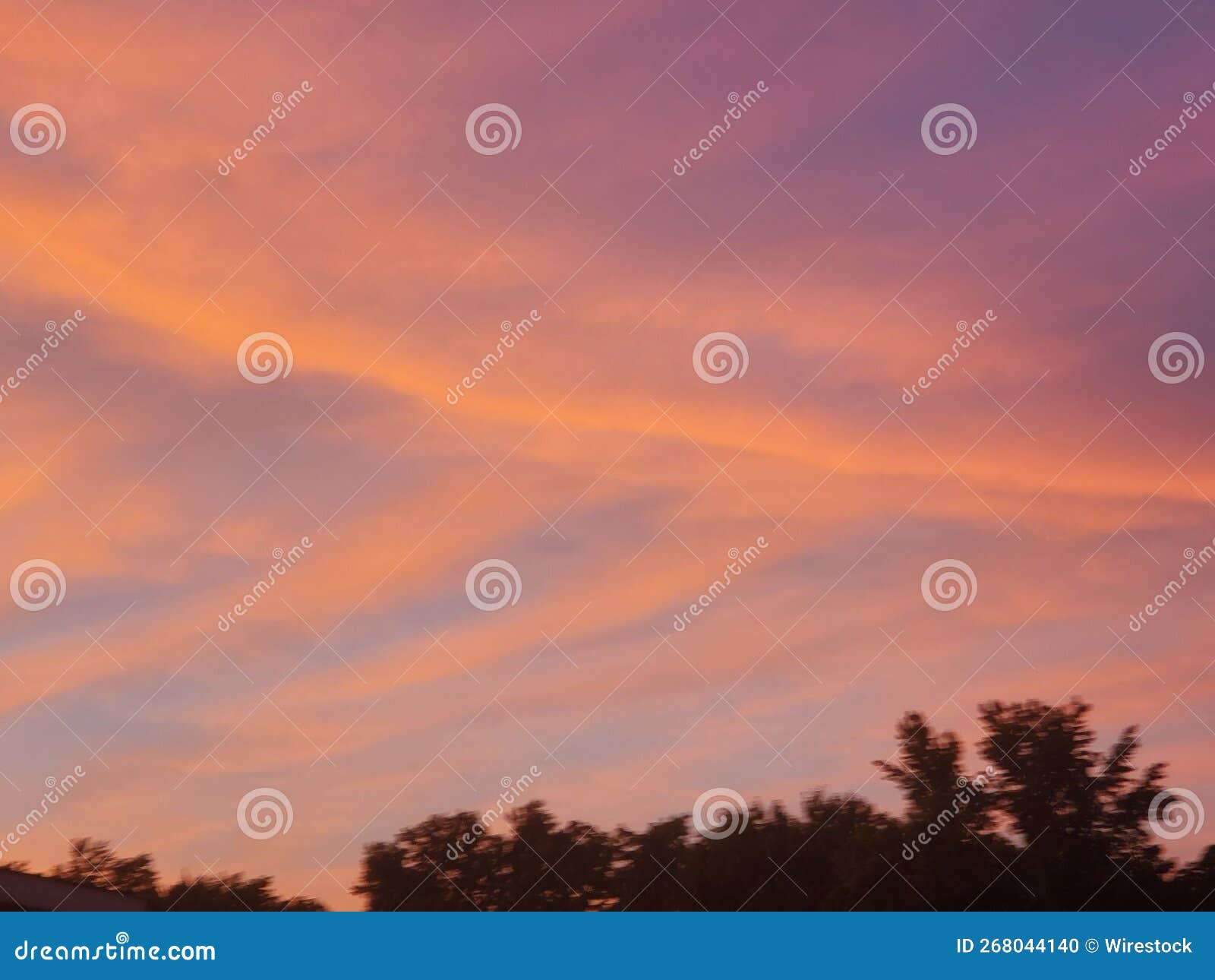 Low-angle Landscape Shot of the Beautiful Pink Sky with Tree Details on ...