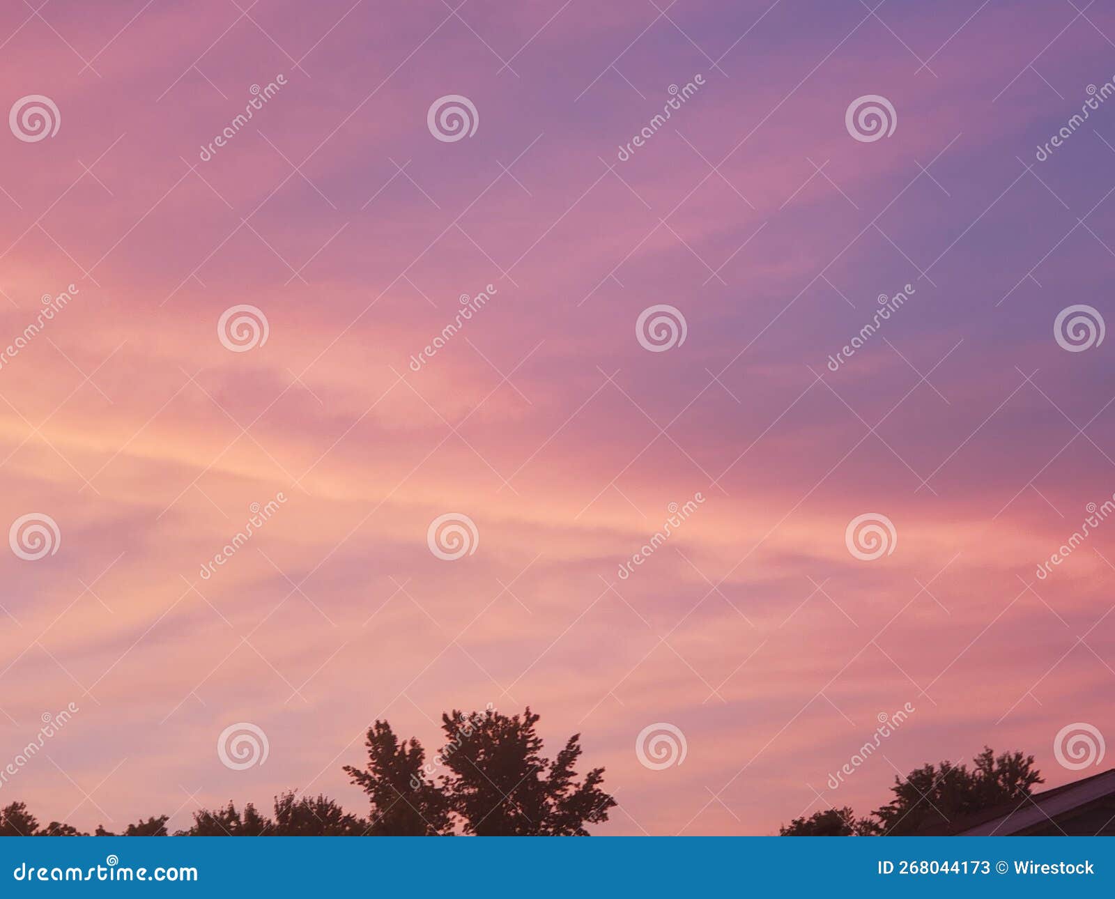 Low-angle Landscape Shot of the Beautiful Pink Sky with Tree Details on ...