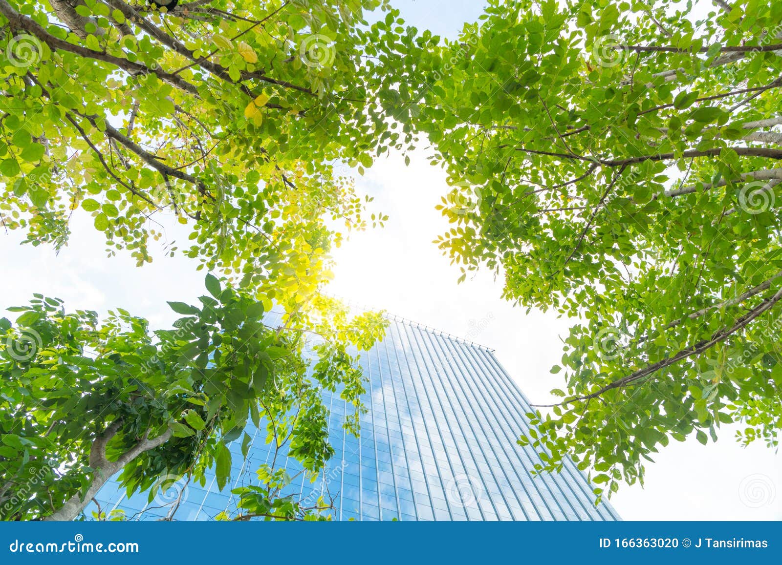 Low Angle Looking Up View Of A Modern Downtown Office Building ...