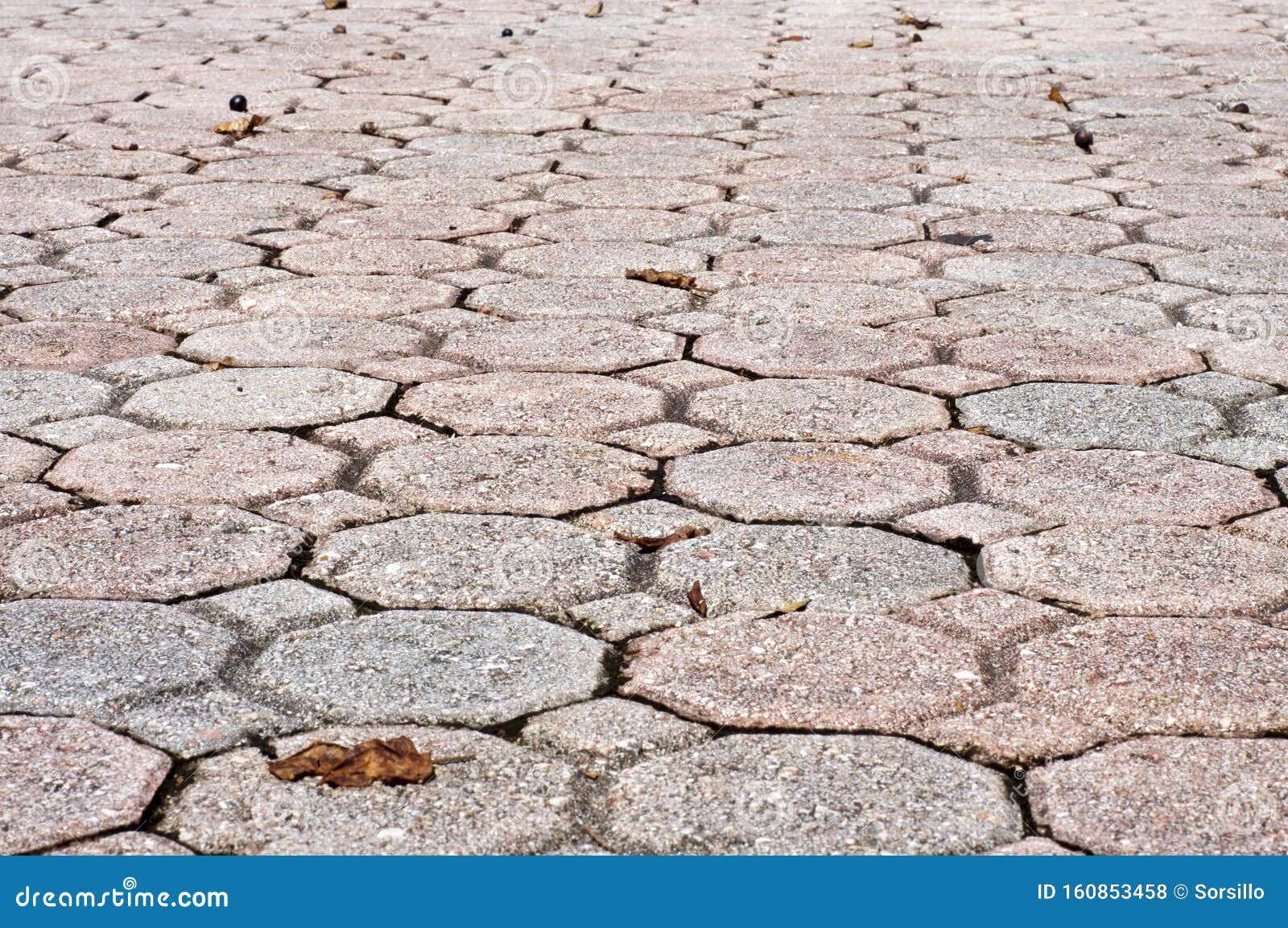 Low Angle Octagon and Square Pavers Stock Photo - Image of angle ...