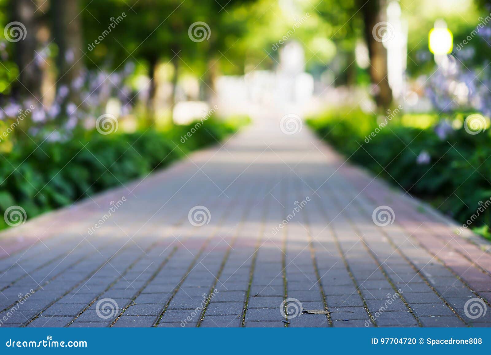 Low Angle Park Path Landscape Background Stock Photo - Image of nature ...