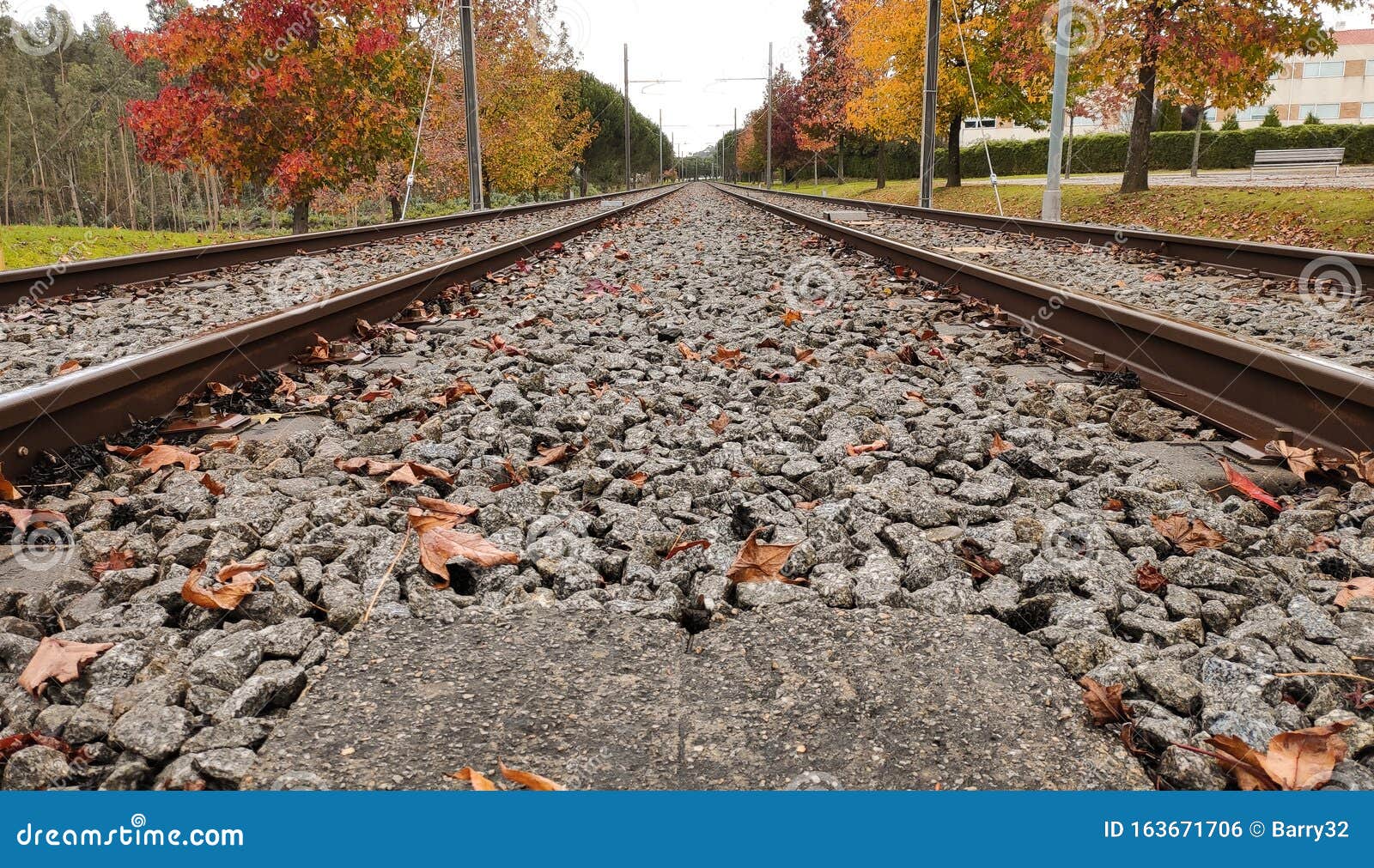 Low Angle Perspective View Straight Along Rail Tracks in Autumn with ...