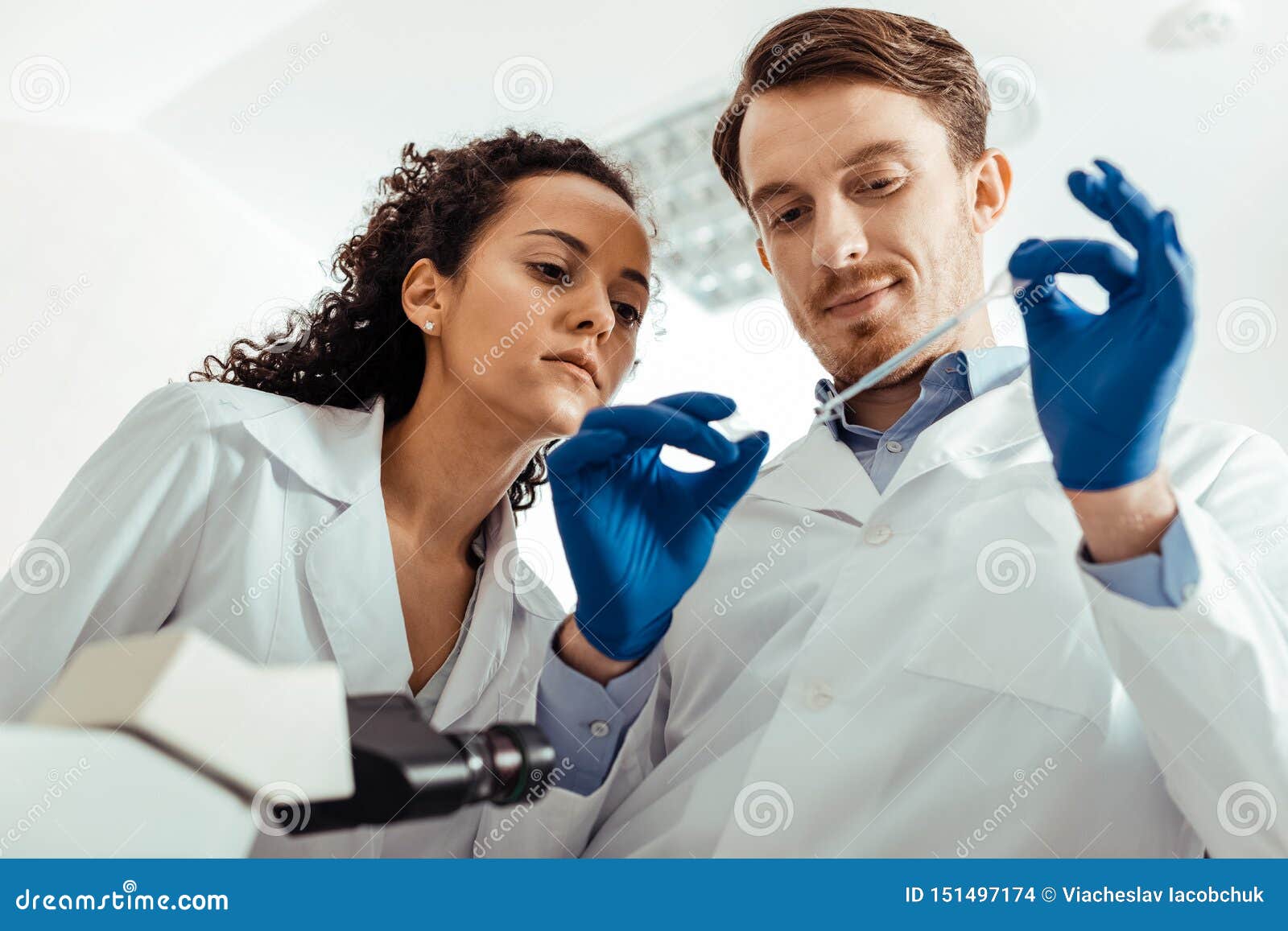 Low Angle of Positive Professional Scientists at Work Stock Photo ...