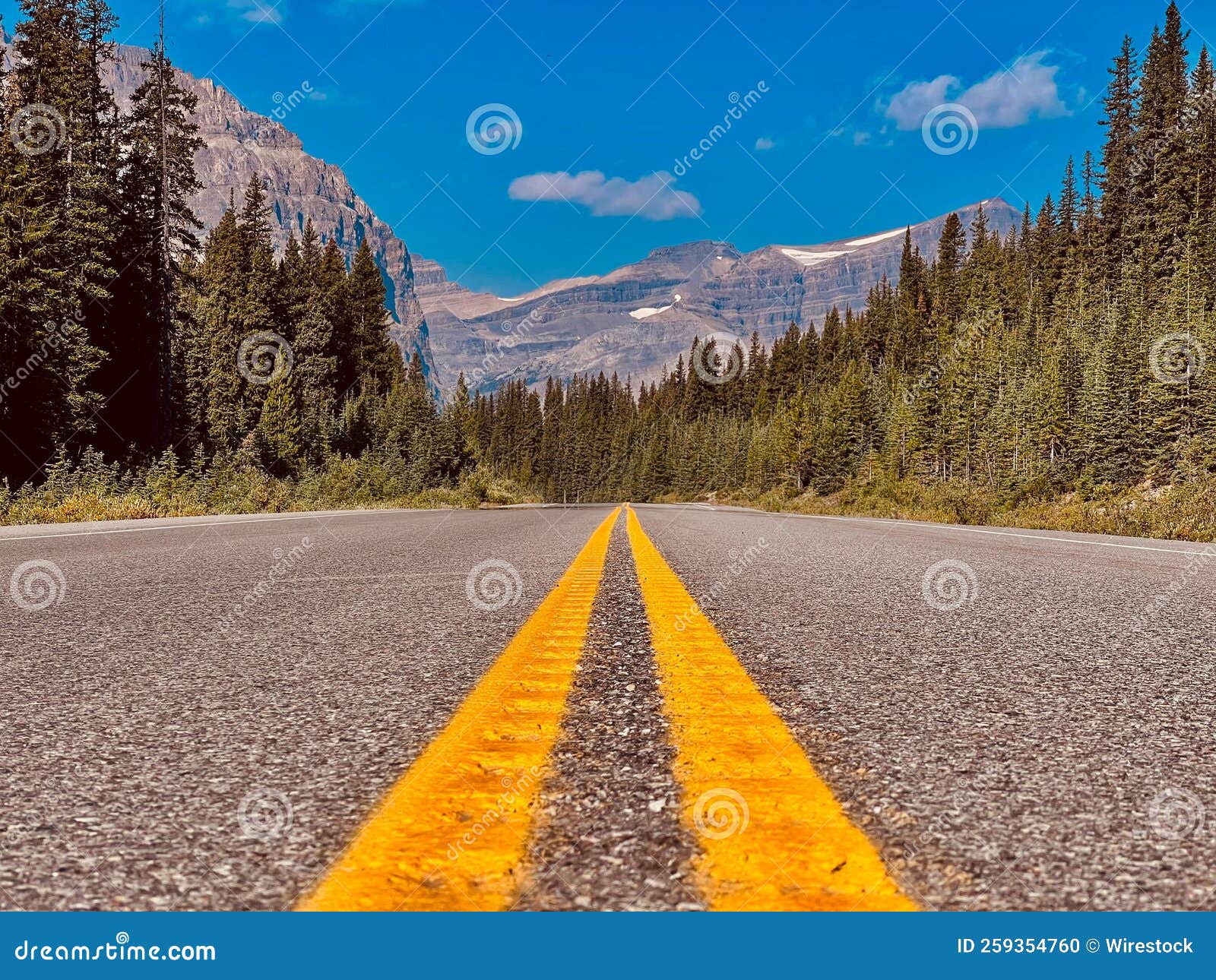 Low-angle of Road Trees on Both Sides, Snowy Mountains and Clear Sky ...