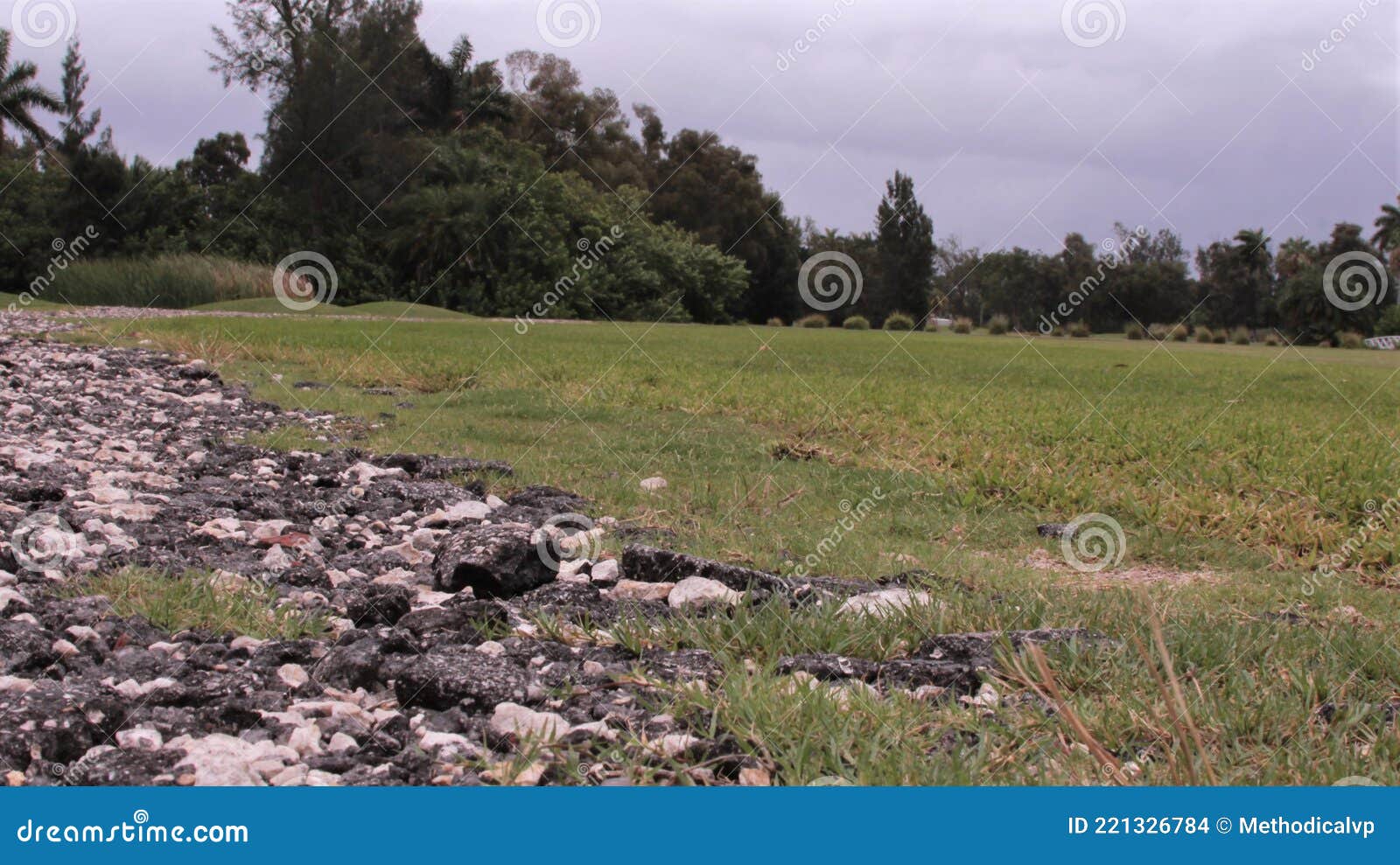 Low Angle Rocks in the Grass Stock Photo - Image of grass, grassland ...