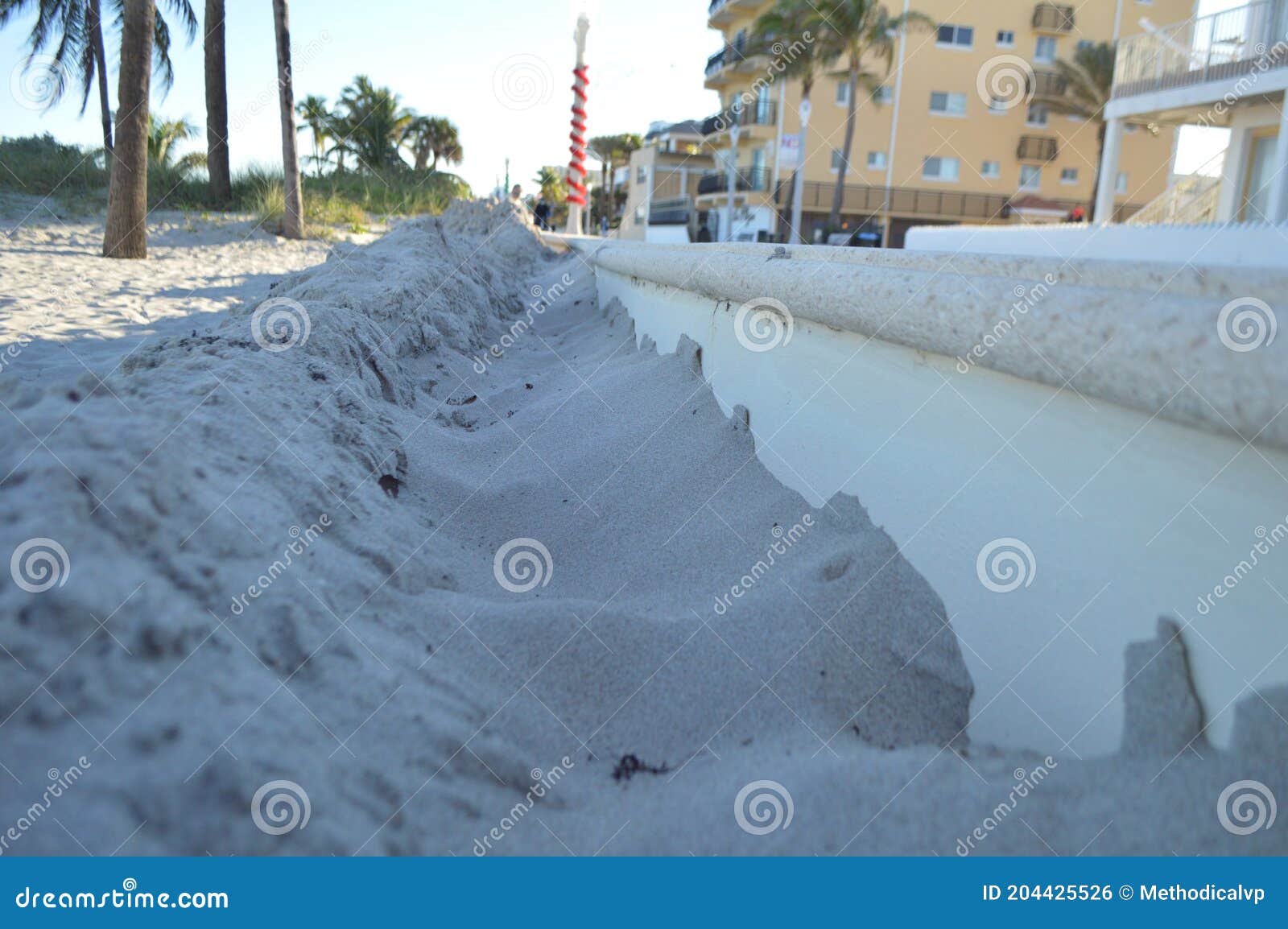 Low angle sand stock photo. Image of vehicle, coast - 204425526