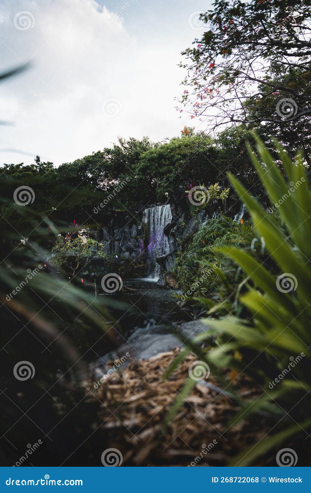 Low-angle of the Scenic Inverrary Scenic Waterfall through Bushes Stock ...
