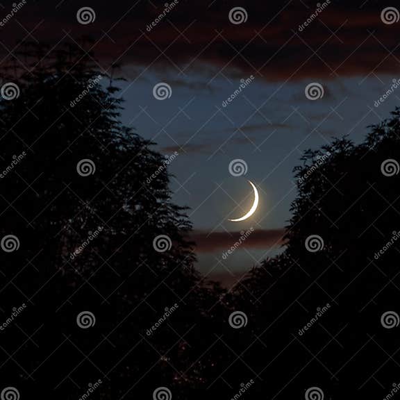 Low Angle Shot of a Beautiful Lunar Eclipse in the Mysterious Sky with ...