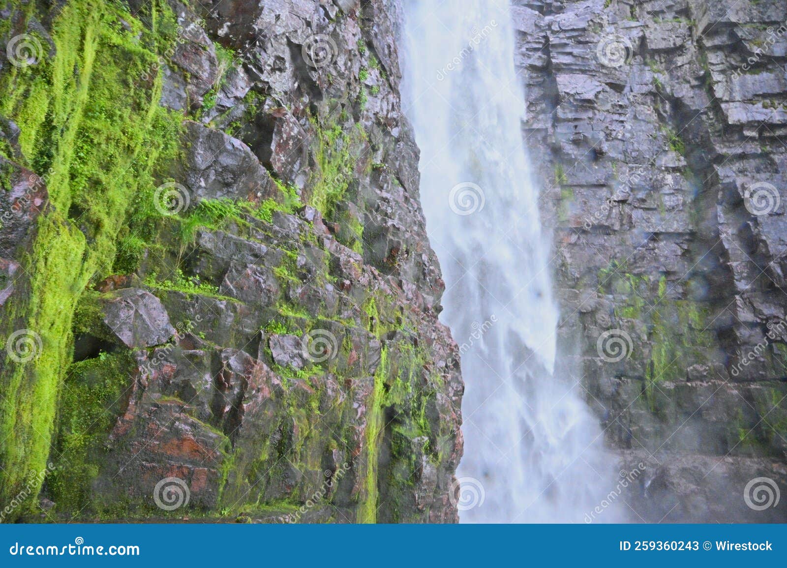 Low-angle Shot of a Beautiful Waterfall Flowing in the Forest Stock ...