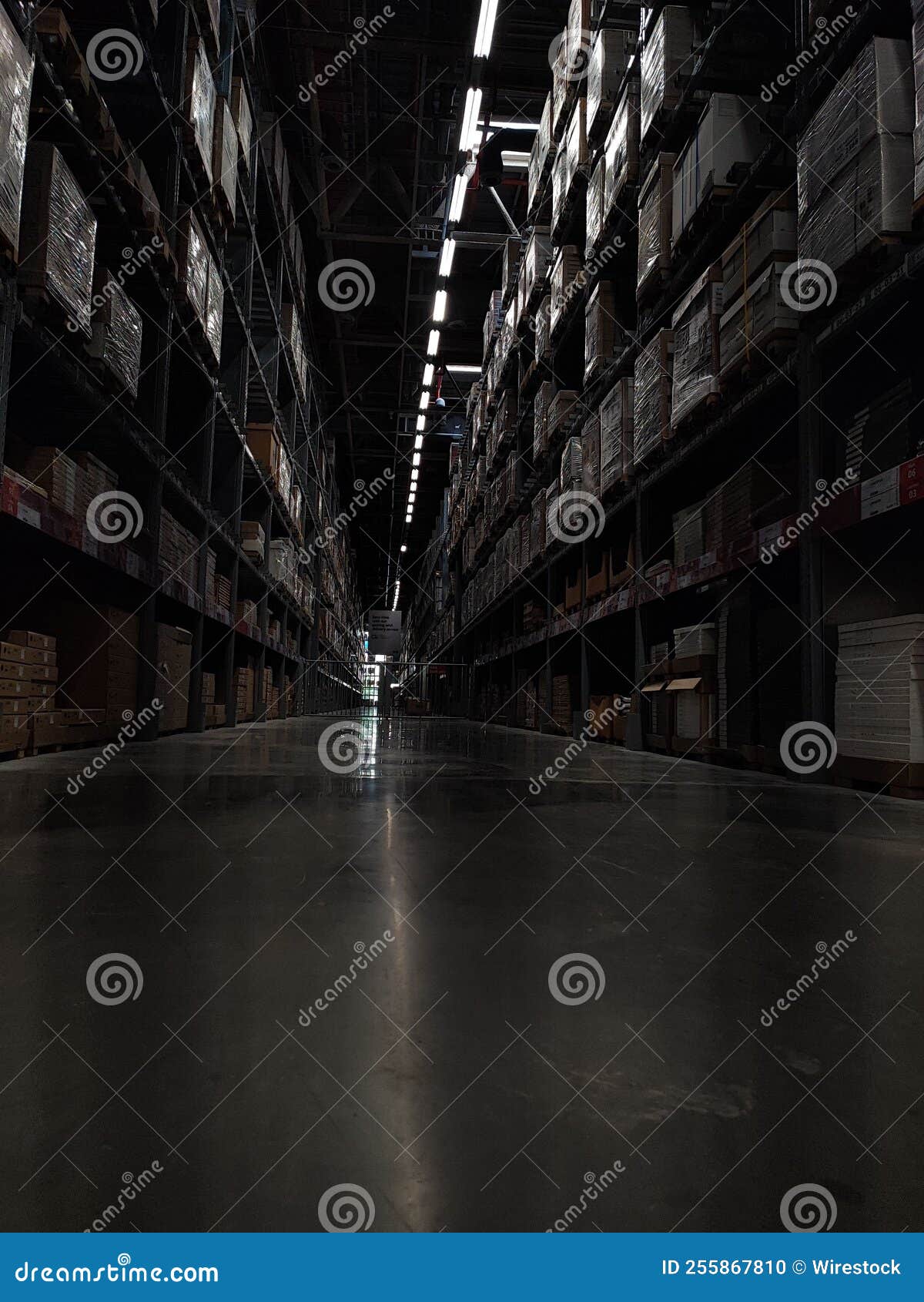 Low Angle Shot of a Bodega with Dark Lighting Stock Photo - Image of ...