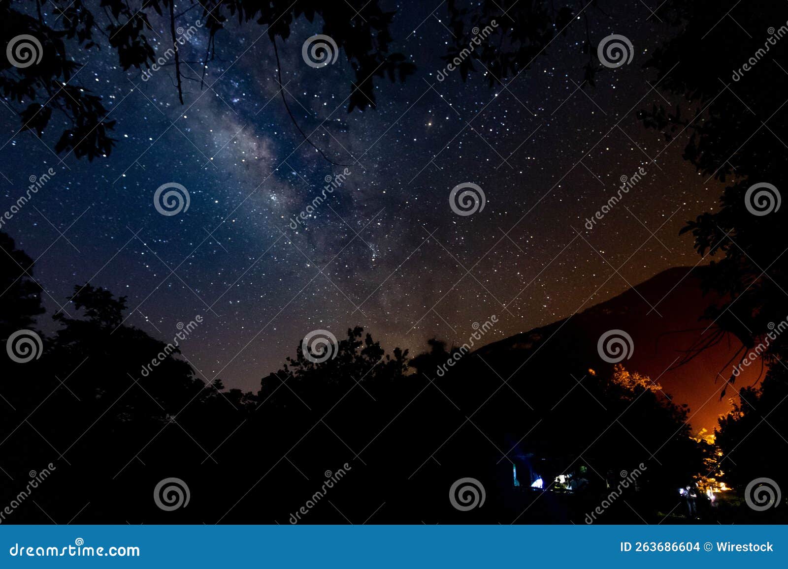 Low Angle Shot of a Bright Starry Night Sky Over a Field with Trees ...
