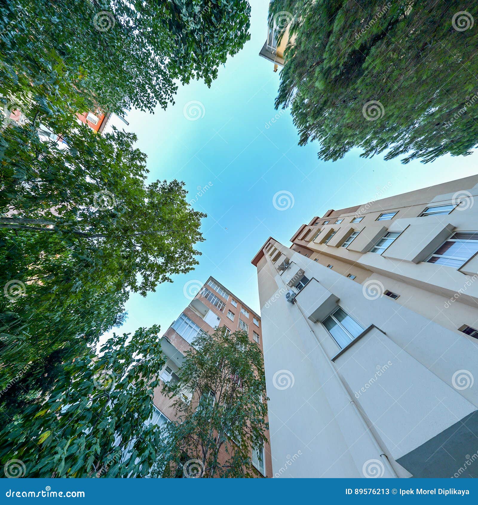 Low Angle Shot of City Buildings with Blue Sky Background Stock Image ...
