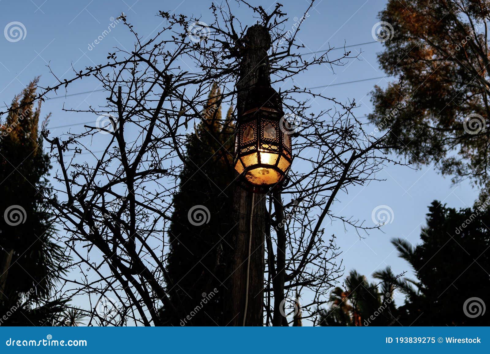 Low Angle Shot of Decorative Vintage Outdoor Flashlight Hanging on a ...