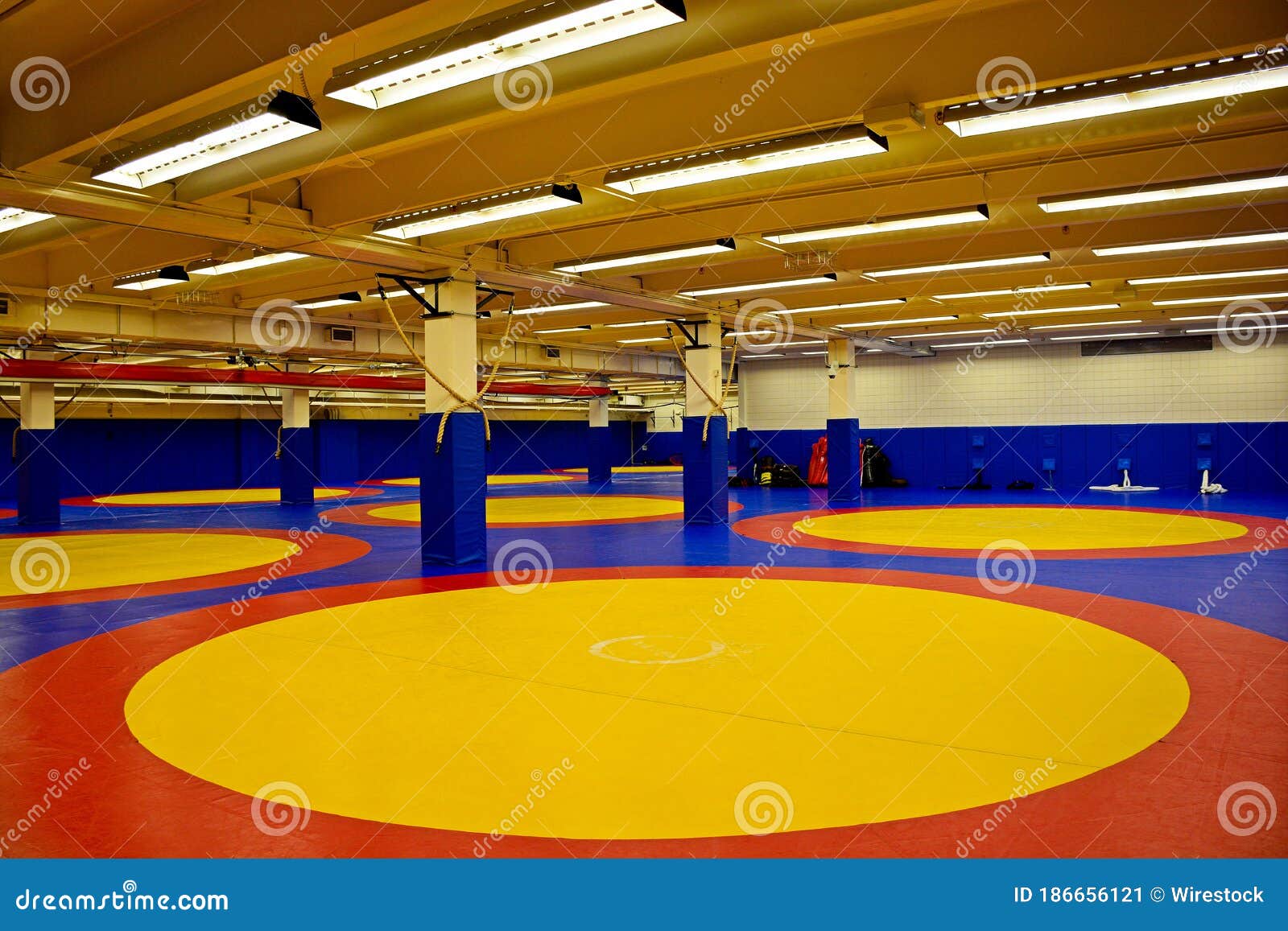 Low Angle Shot of an Empty Judo Hall Stock Image - Image of ...