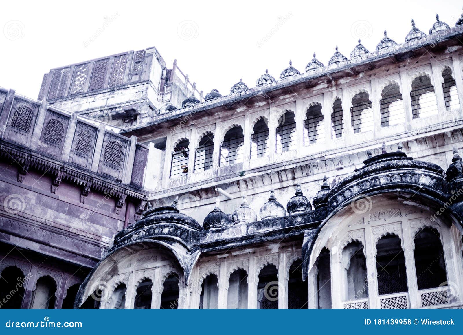 Low Angle Shot Example