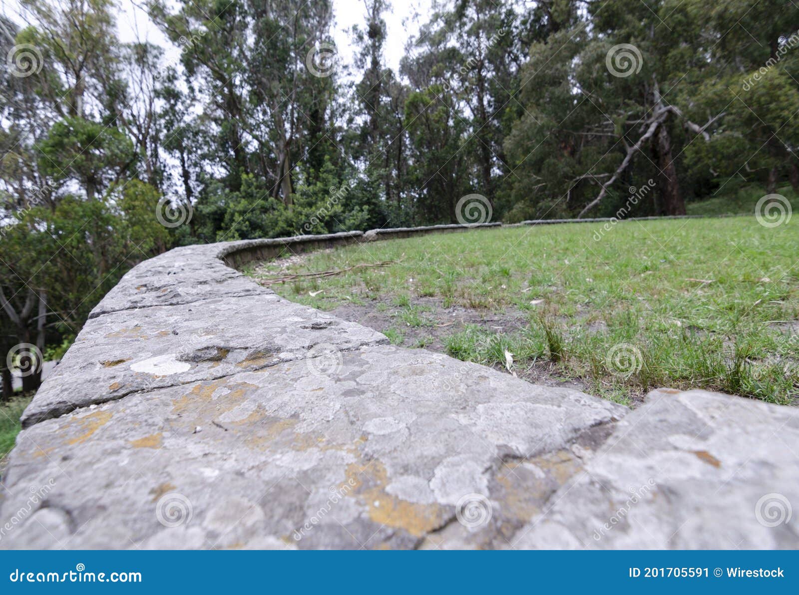 Low Angle Shot of the Grass and Trees in the Park Stock Image - Image ...