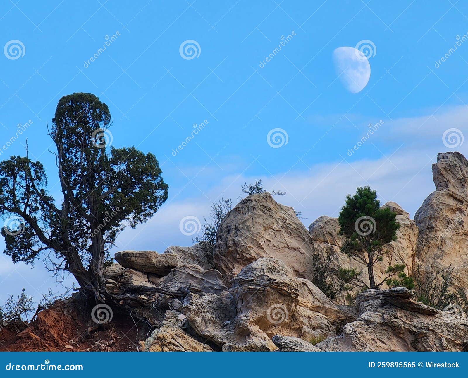 Low Angle Shot of a Half Full Moon in a Blue Sky Over Rocky Mountains ...