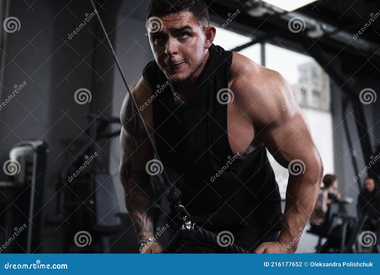 Huge Muscular Rear Of A Meat Beef Cow With Cute Pink Udders Is Grazing ...