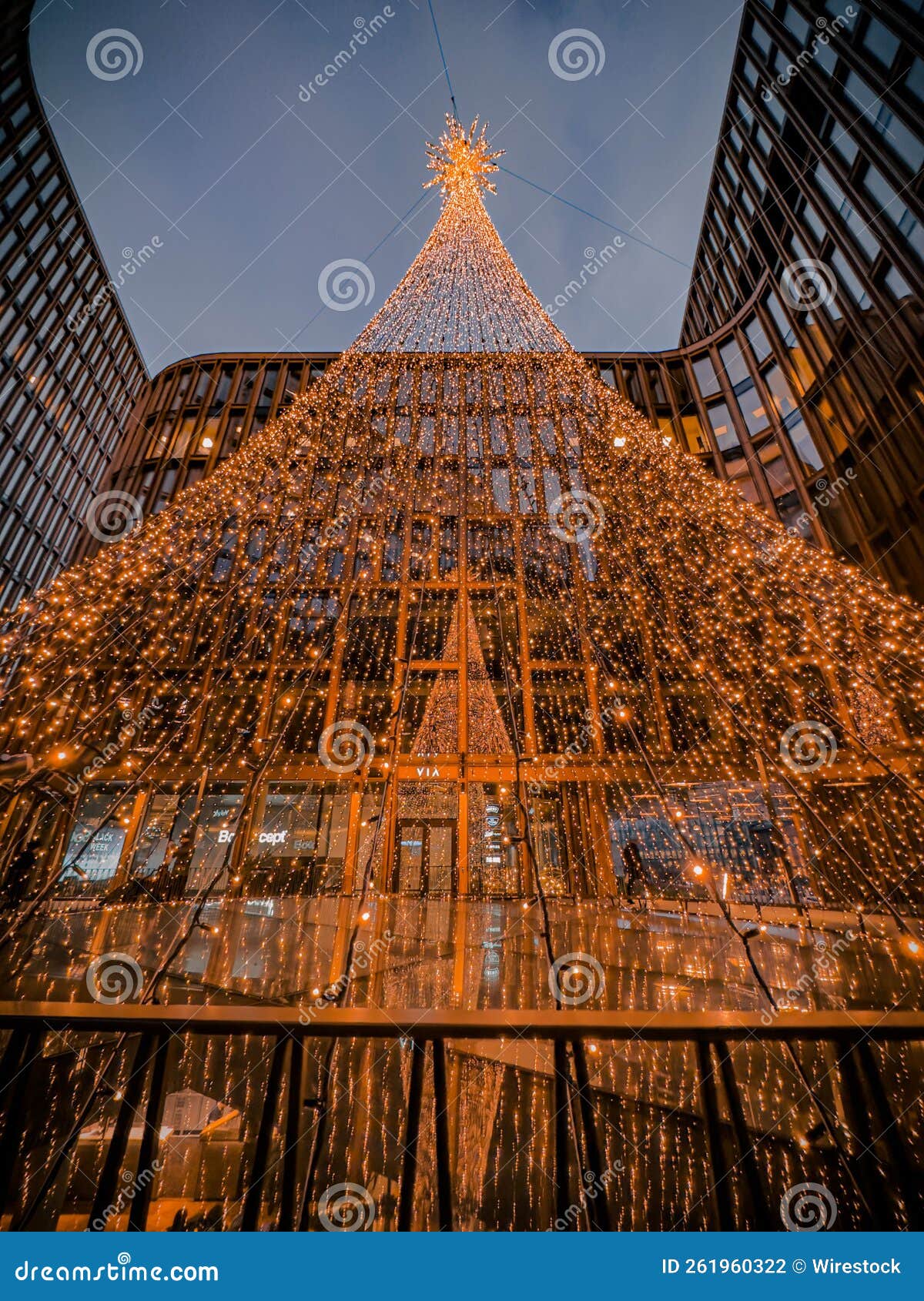 Low Angle Shot of a Lightning Christmas Tree at Via Vika, Norway ...