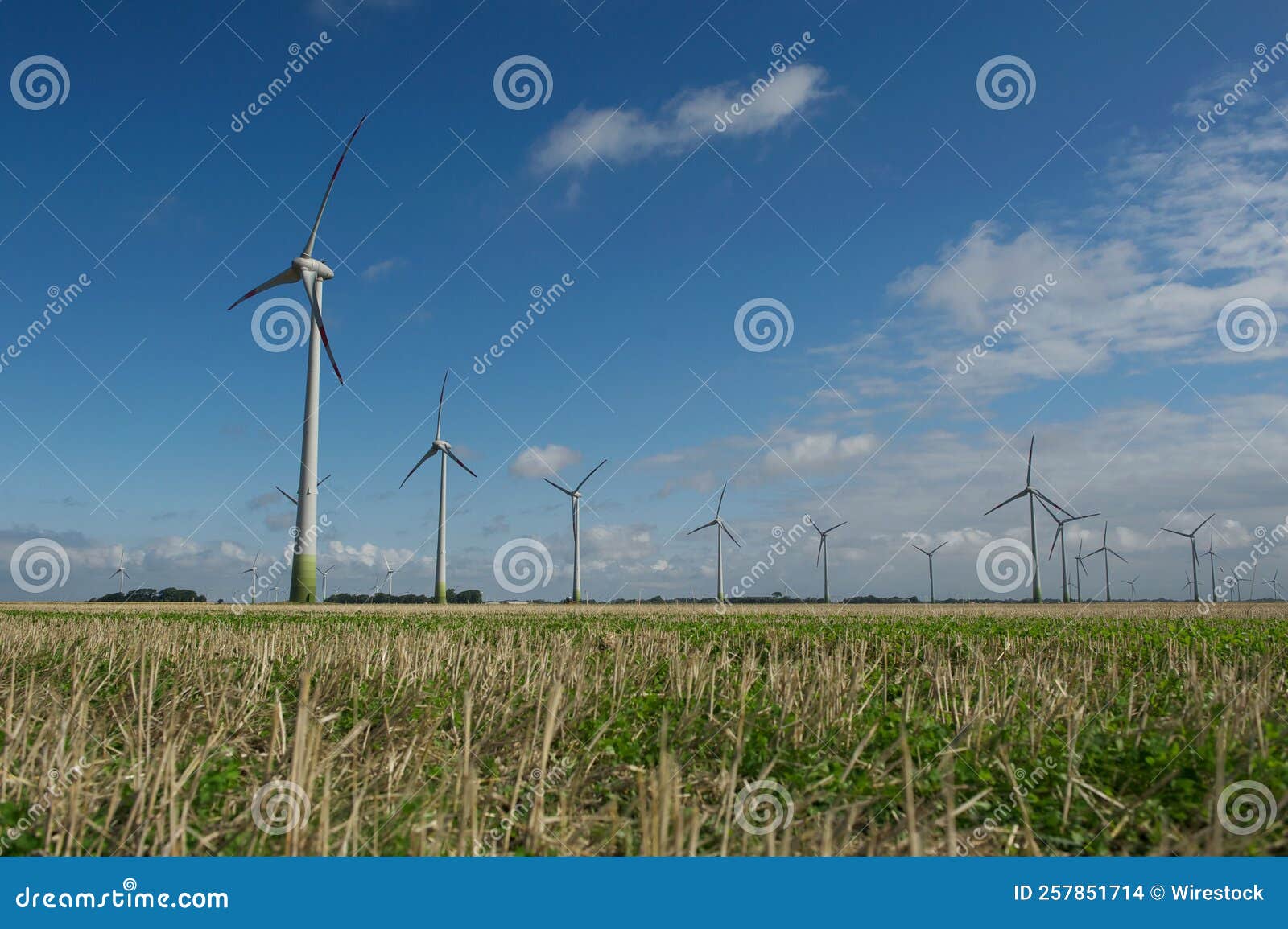 Low-angle Shot of Multiple Windmills in a Field Stock Photo - Image of ...