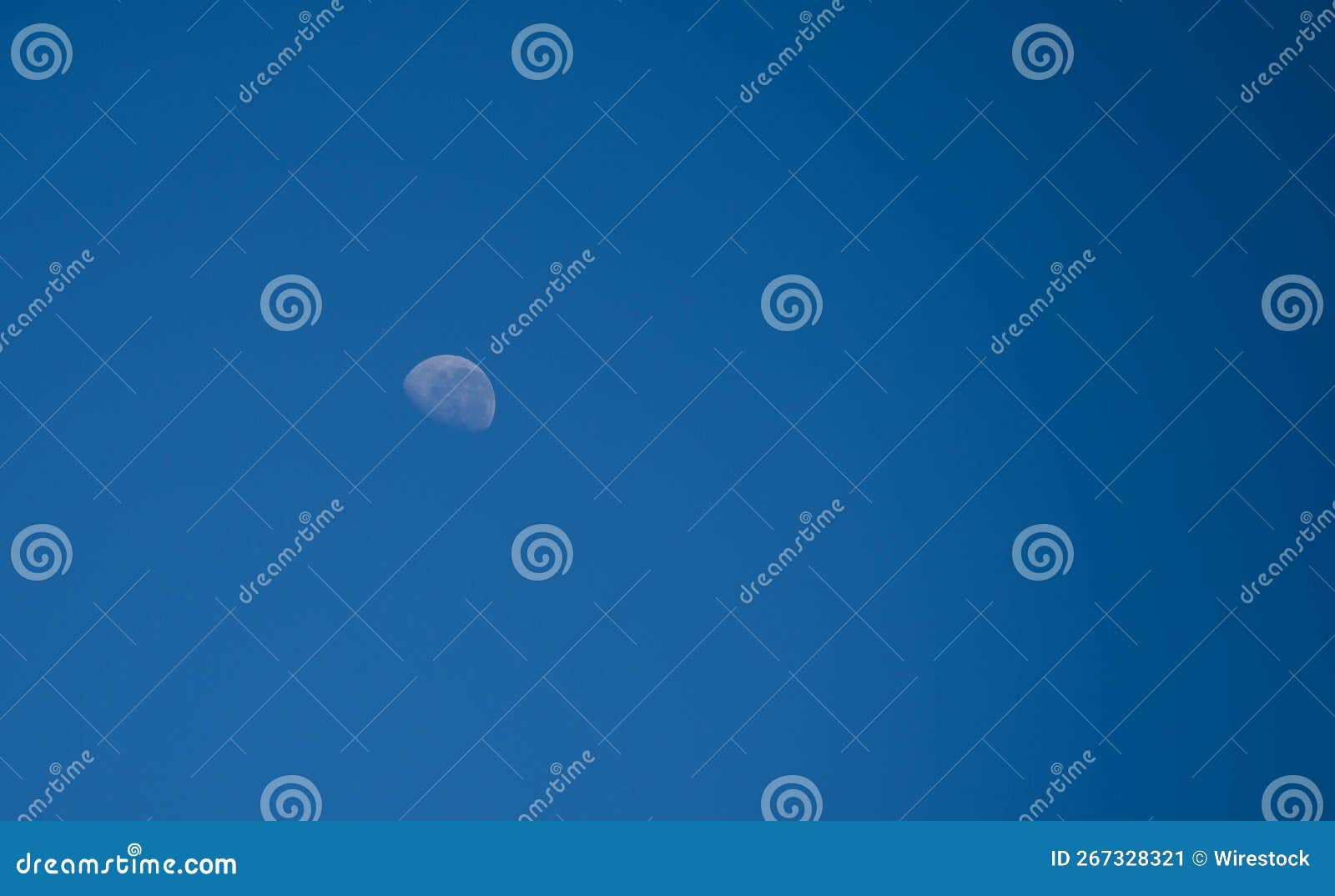 The Reflection Of The Moon In The Pond, Clear Night, Moonlight Royalty ...