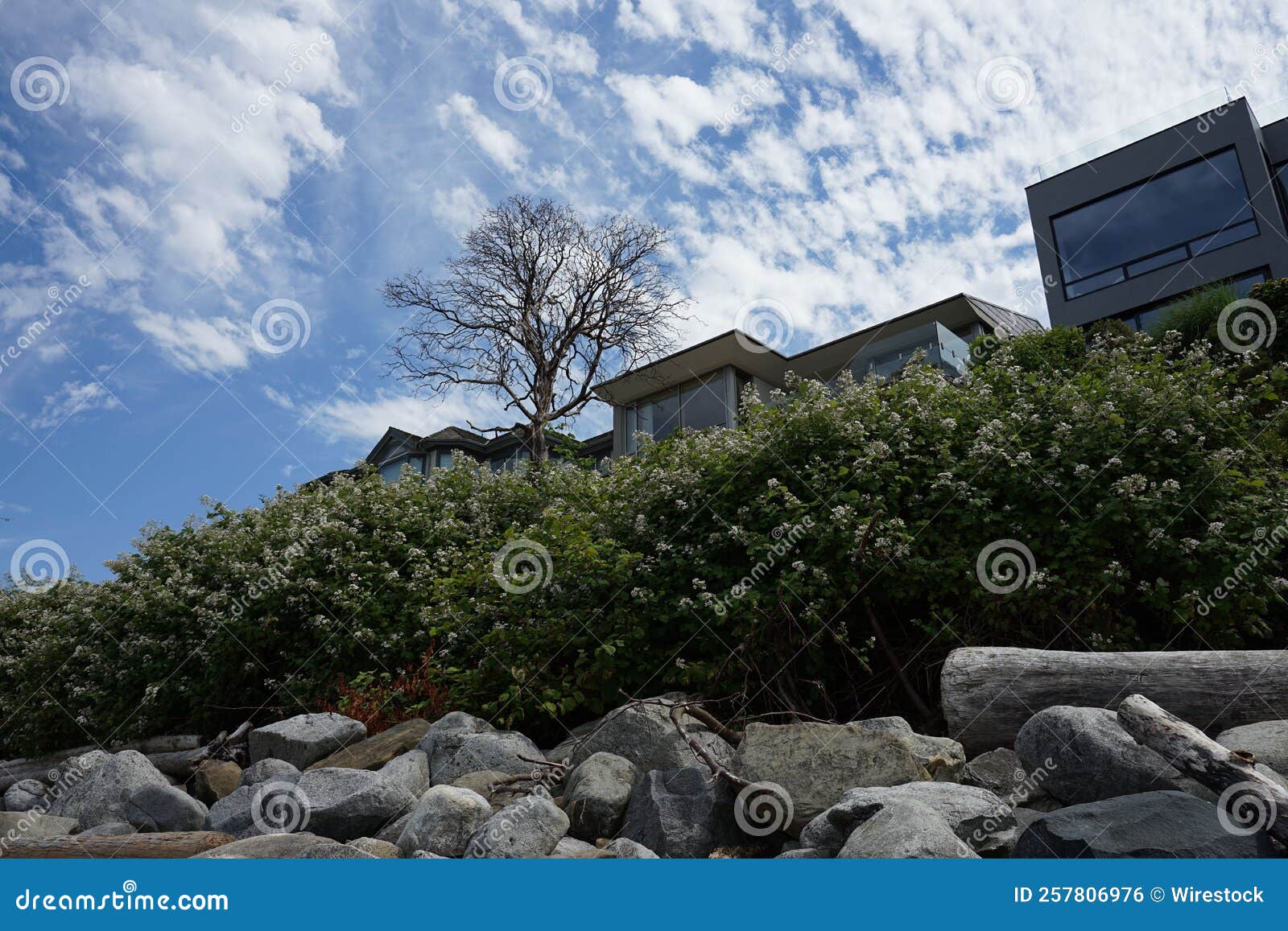Low Angle Shot of Rocks and Greenery Over it with Buildings in the ...