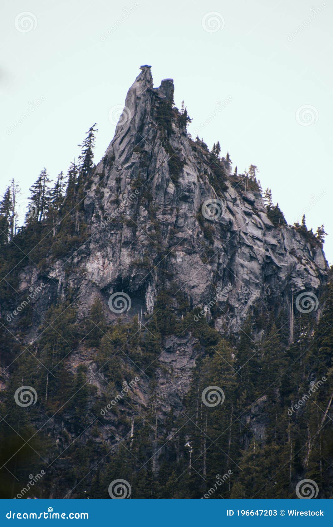 Low Angle Shot of a Rocky Cliff Landscape with Trees Stock Image ...