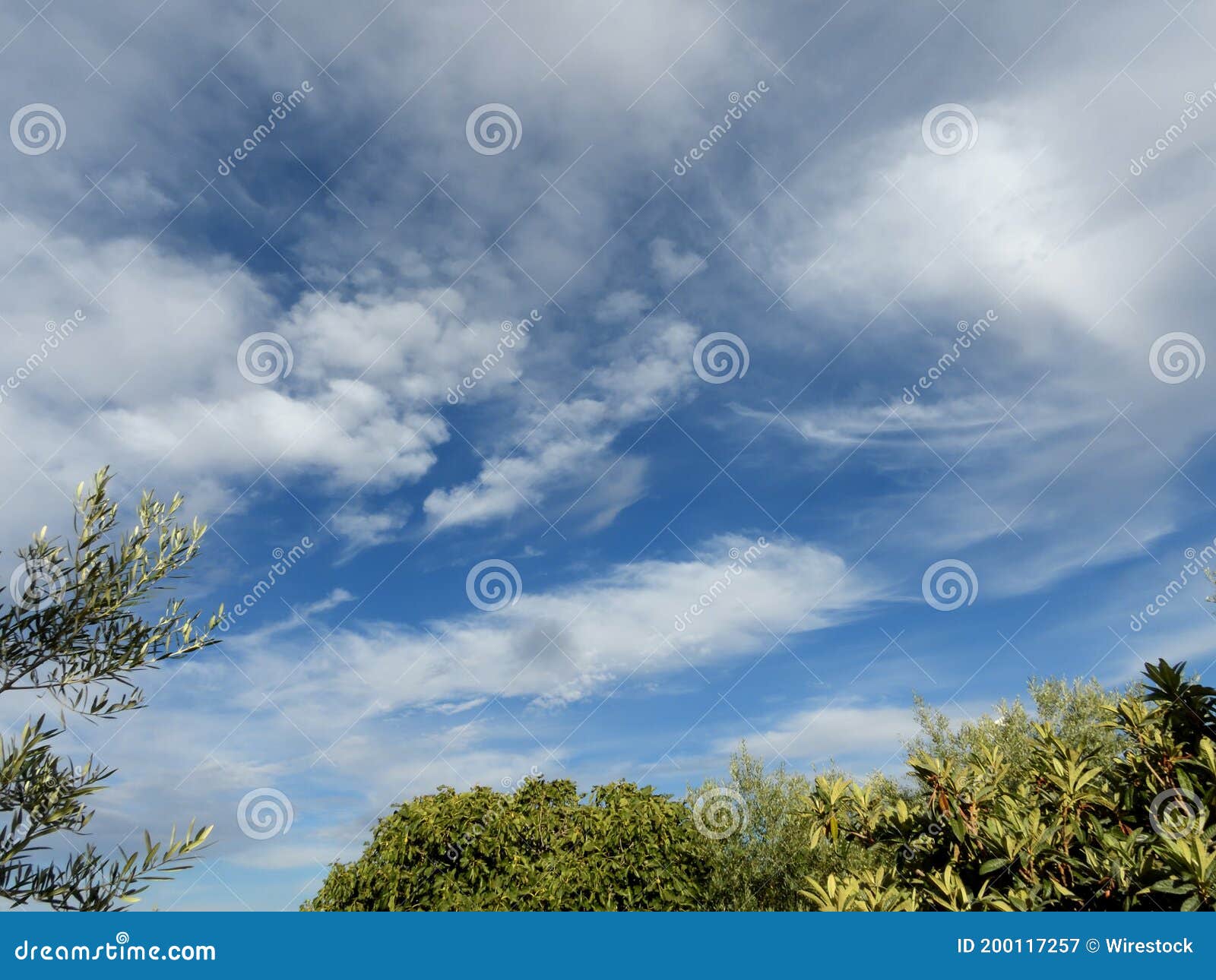 Low Angle Shot of Scenic and Cloudy Sky Stock Image - Image of natural ...