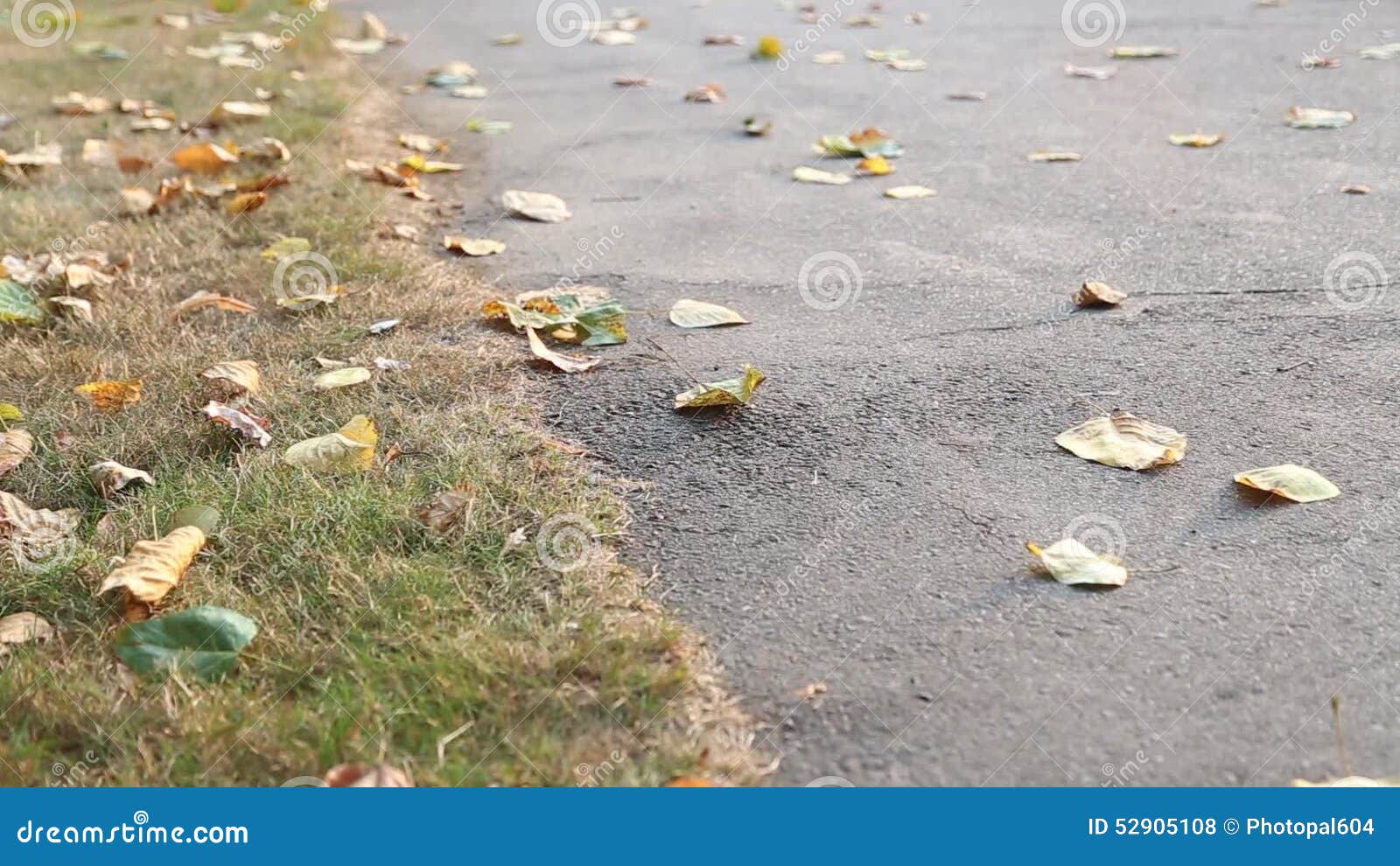 Low angle shot of sidewalk stock footage. Video of people - 52905108