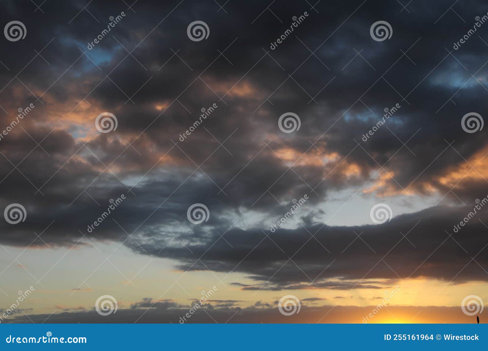 Low Angle Shot of the Sky during a Beautiful Sunset Filled with Clouds ...