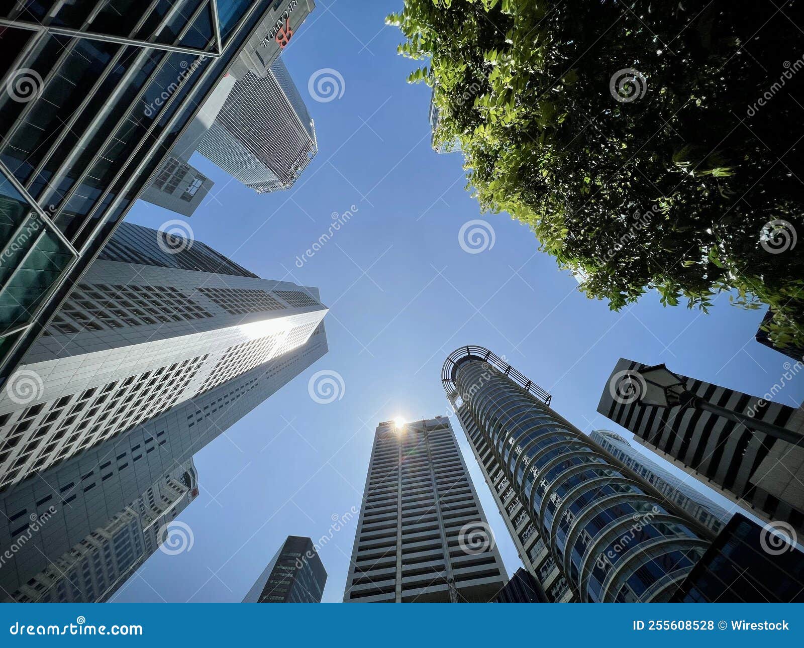 Low-angle Shot of the Skyscrapers Against a Blue Sky Background Stock ...
