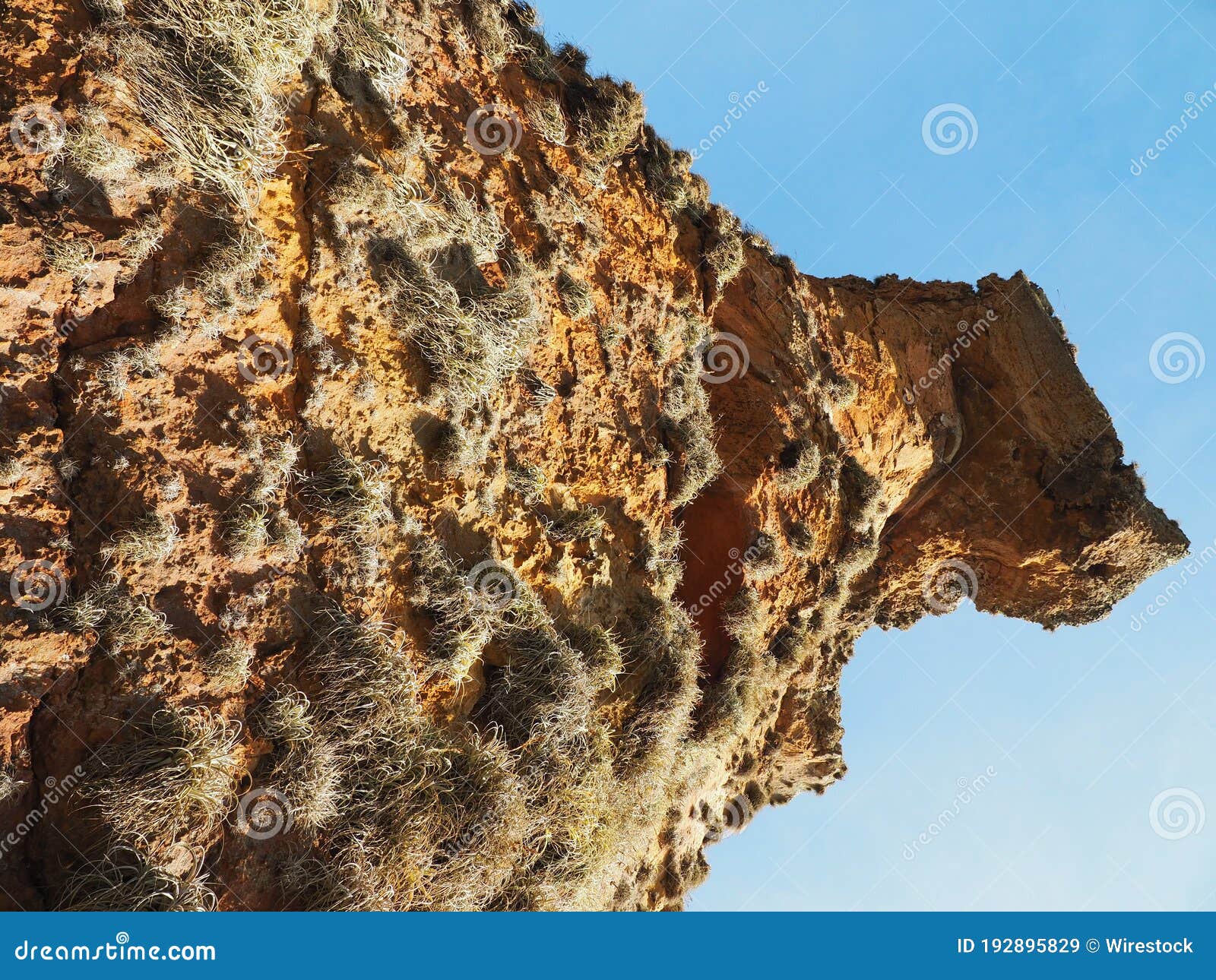 Low Angle Shot of the Summit of a Cliff Captured during the Daytime ...
