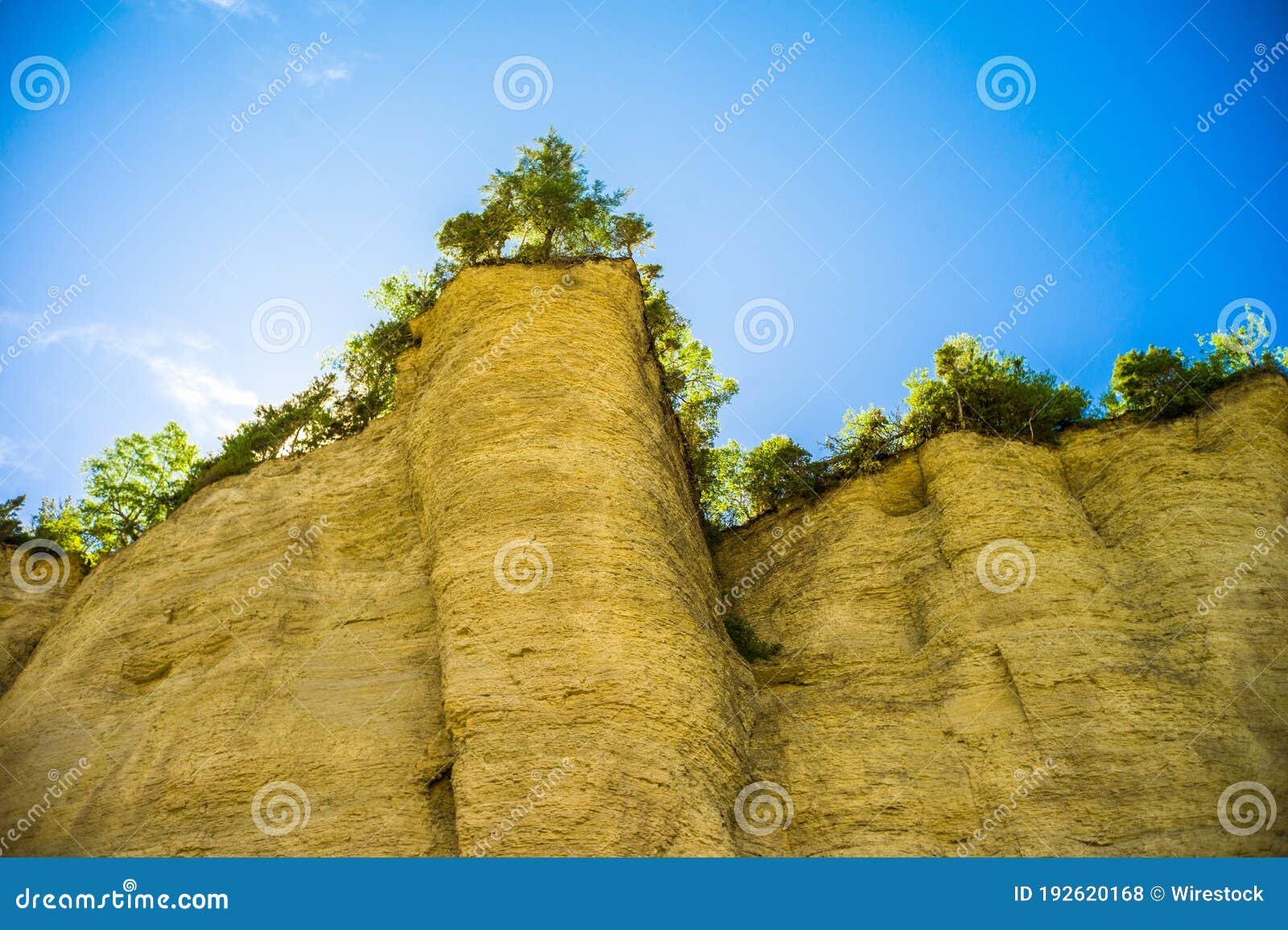 Low Angle Shot of the Trees Growing on the Cliff Under the Blue Sky ...