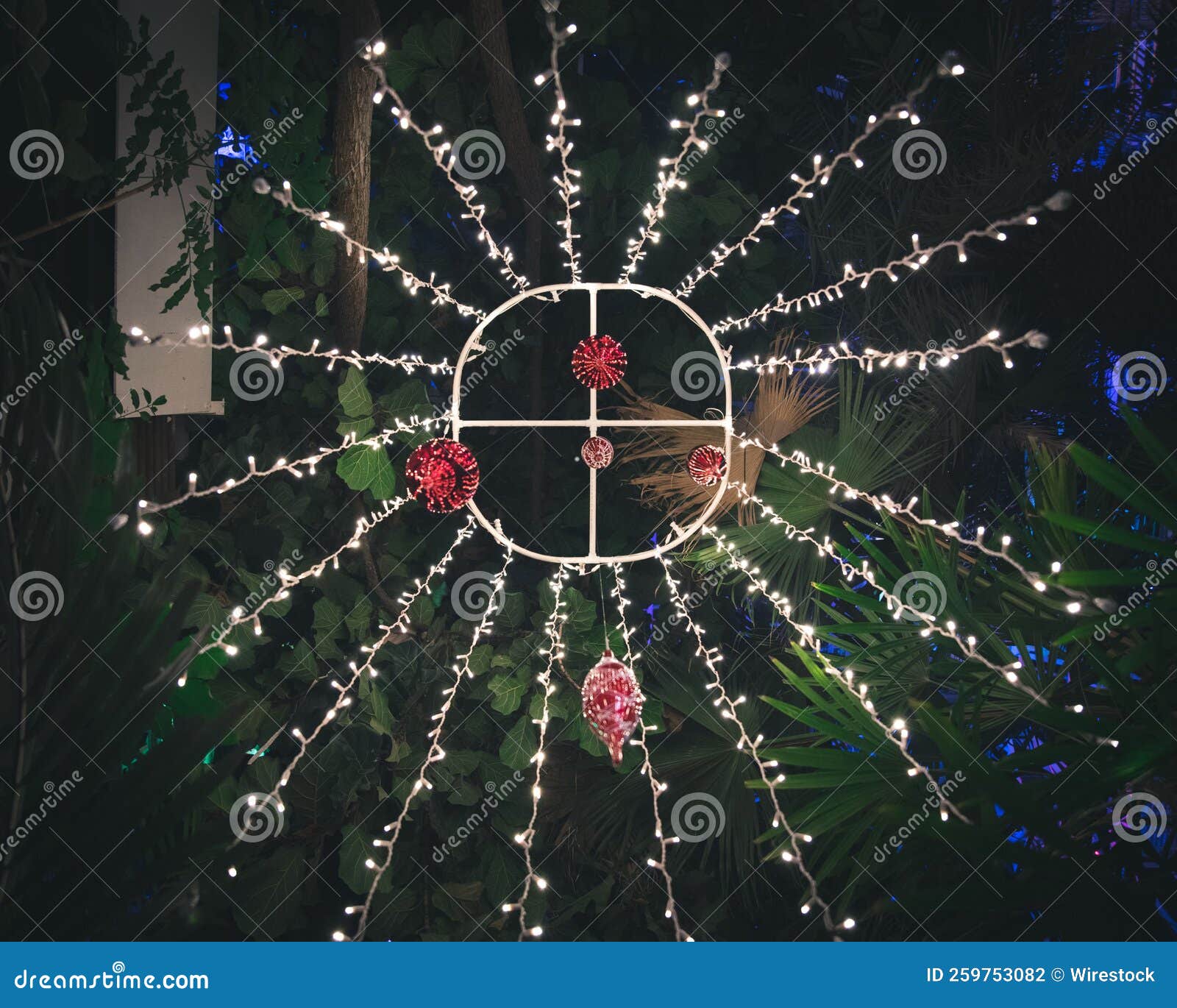 Low-angle Shot of Twinkle Lights Placed on Trees Making a Circle Stock Photo - Image of trees ...