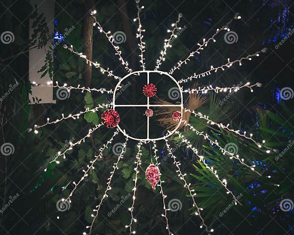 Low-angle Shot of Twinkle Lights Placed on Trees Making a Circle Stock ...