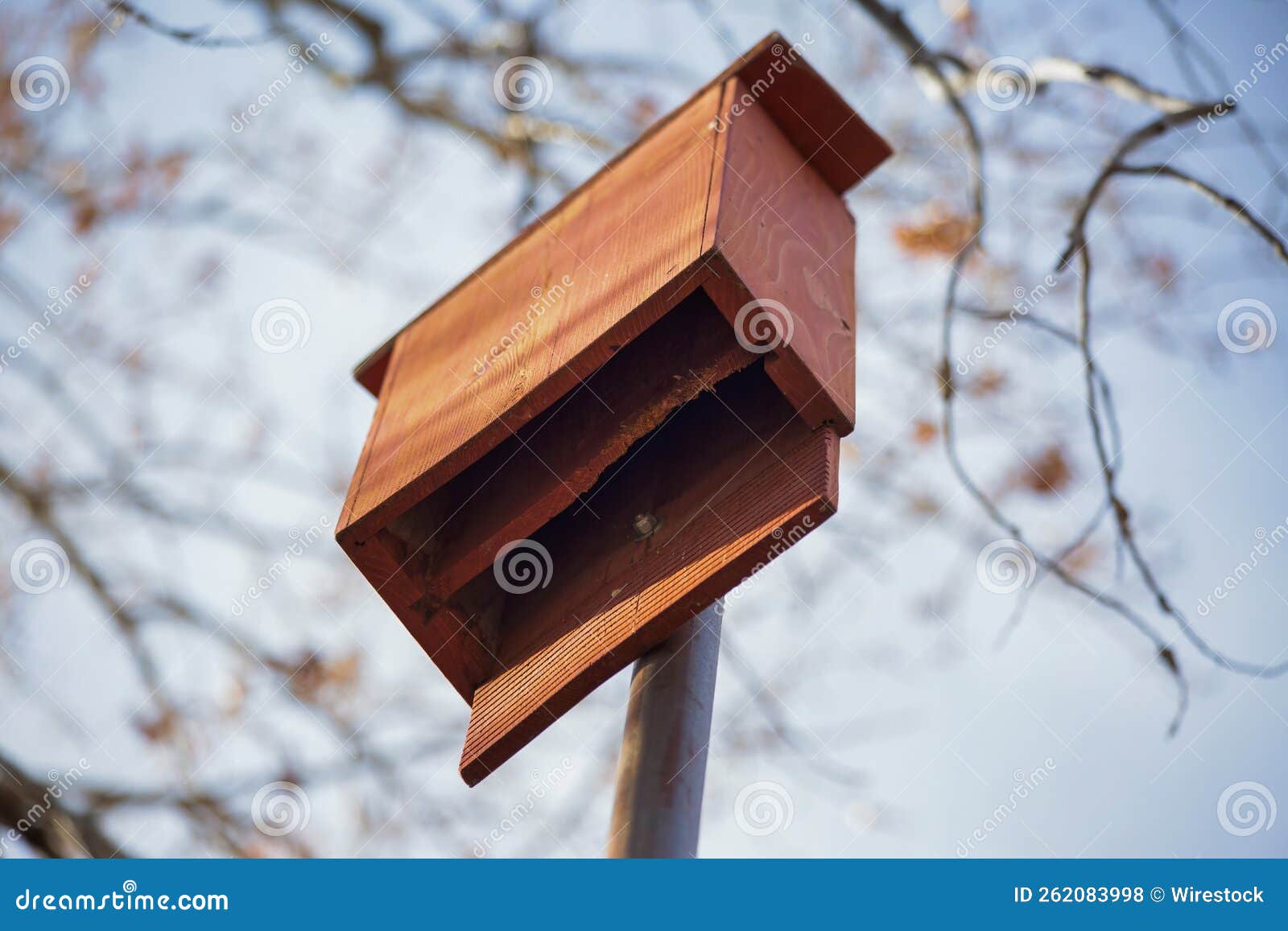Low Angle Shot of a Wooden Bat Box Under Tree Branches Stock Photo ...